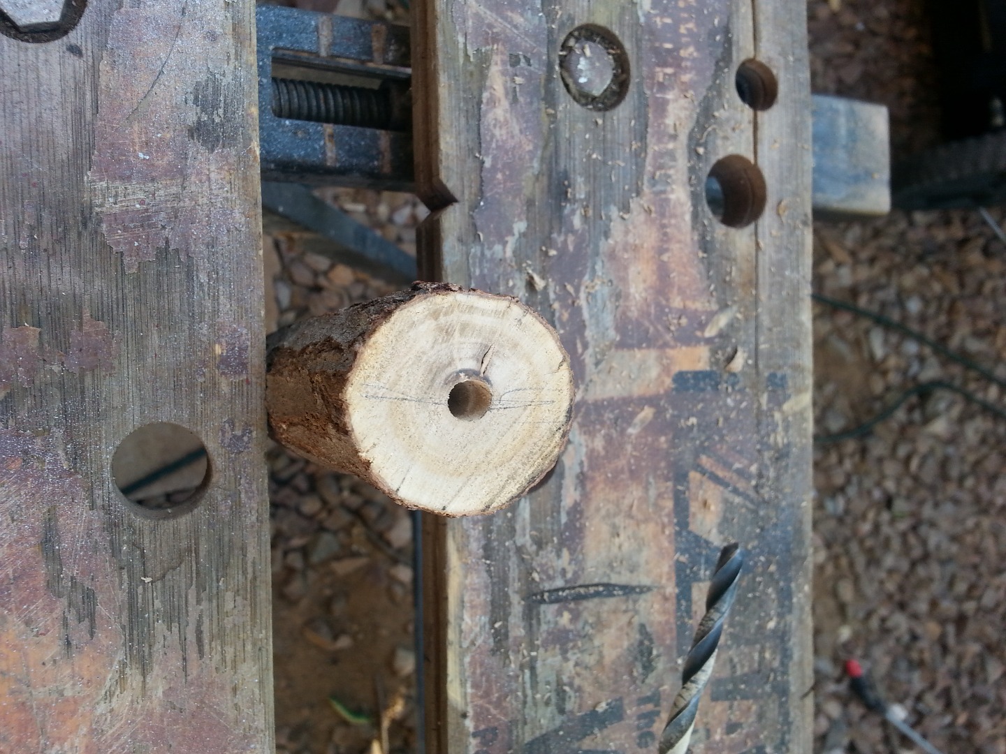 Rasp and Pepper Tree Knife : 6 Steps (with Pictures) - Instructables