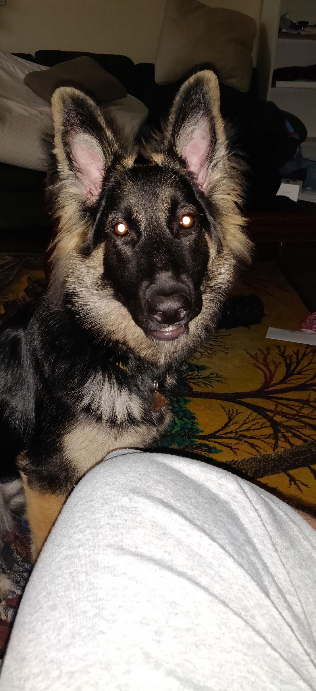 Kinetic Seven Segment Clock : 5 Steps (with Pictures) - Instructables