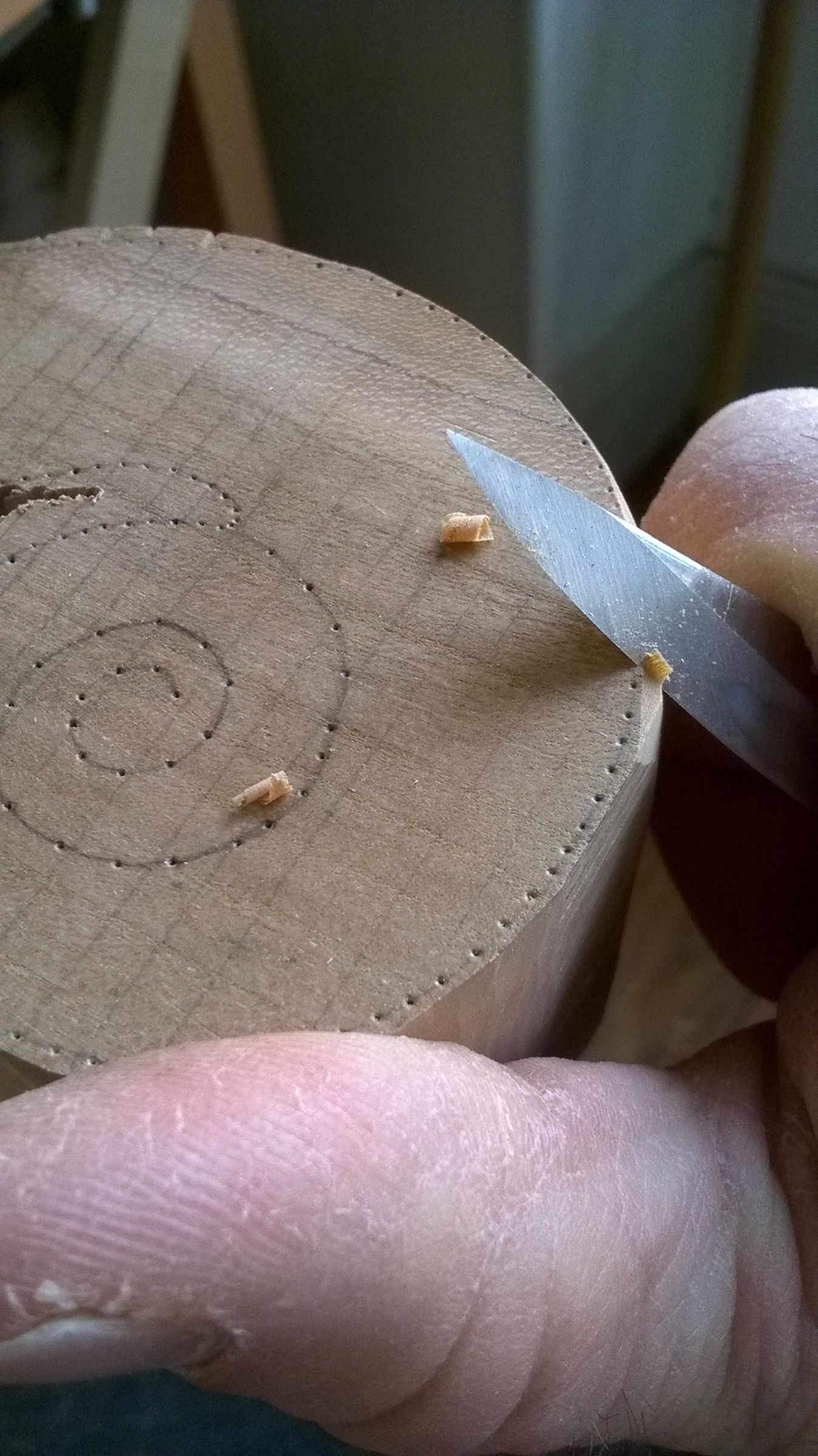 The Birth of a Volute : 7 Steps (with Pictures) - Instructables