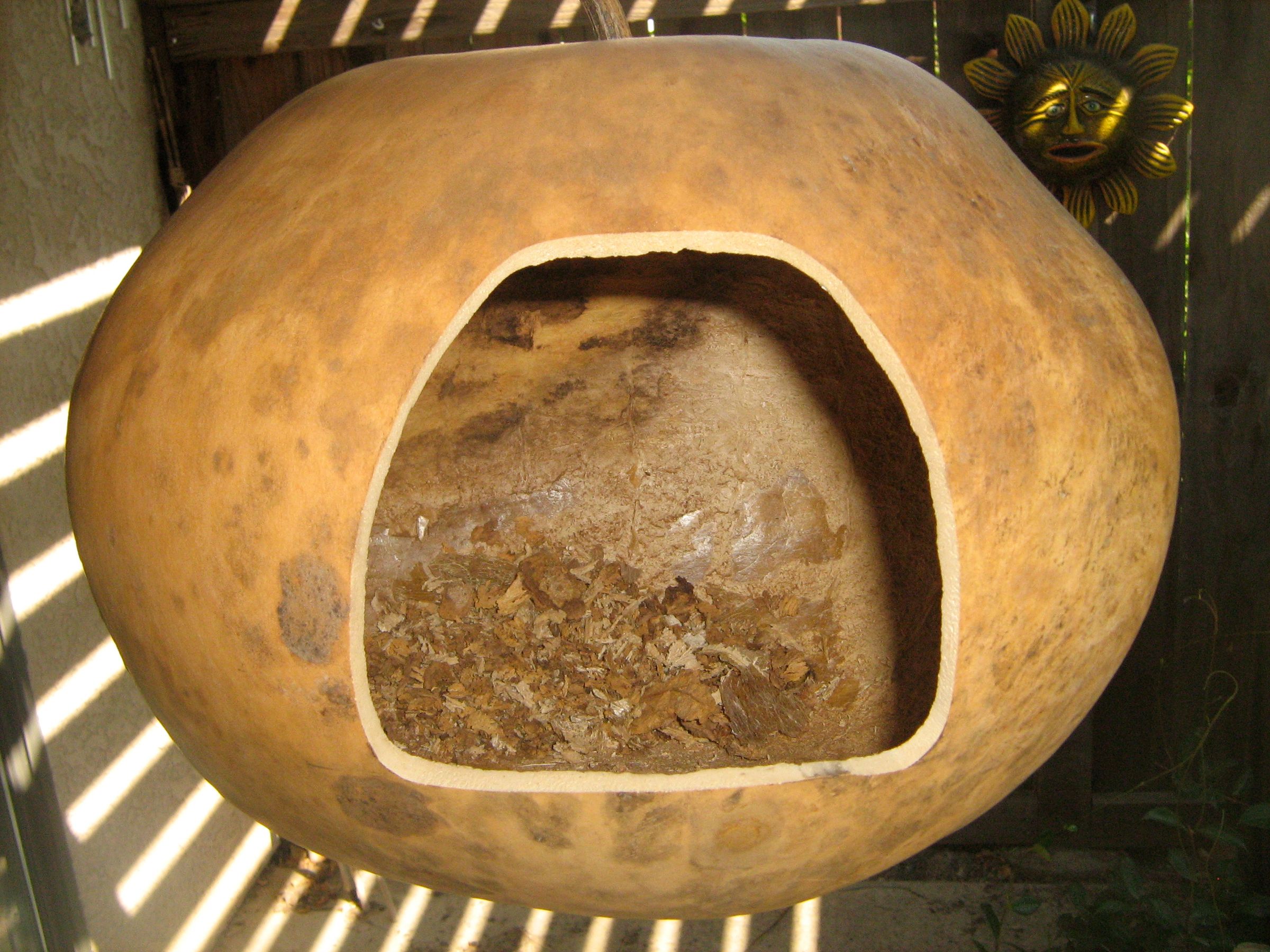 How to Clean a Hardshell Gourd : 3 Steps (with Pictures) - Instructables