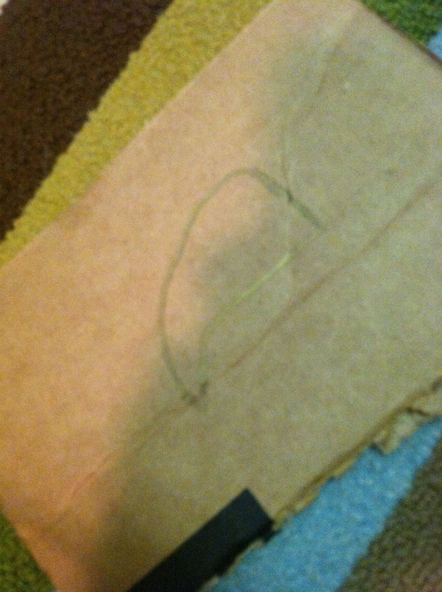 Cardboard Bird Beak : 5 Steps - Instructables