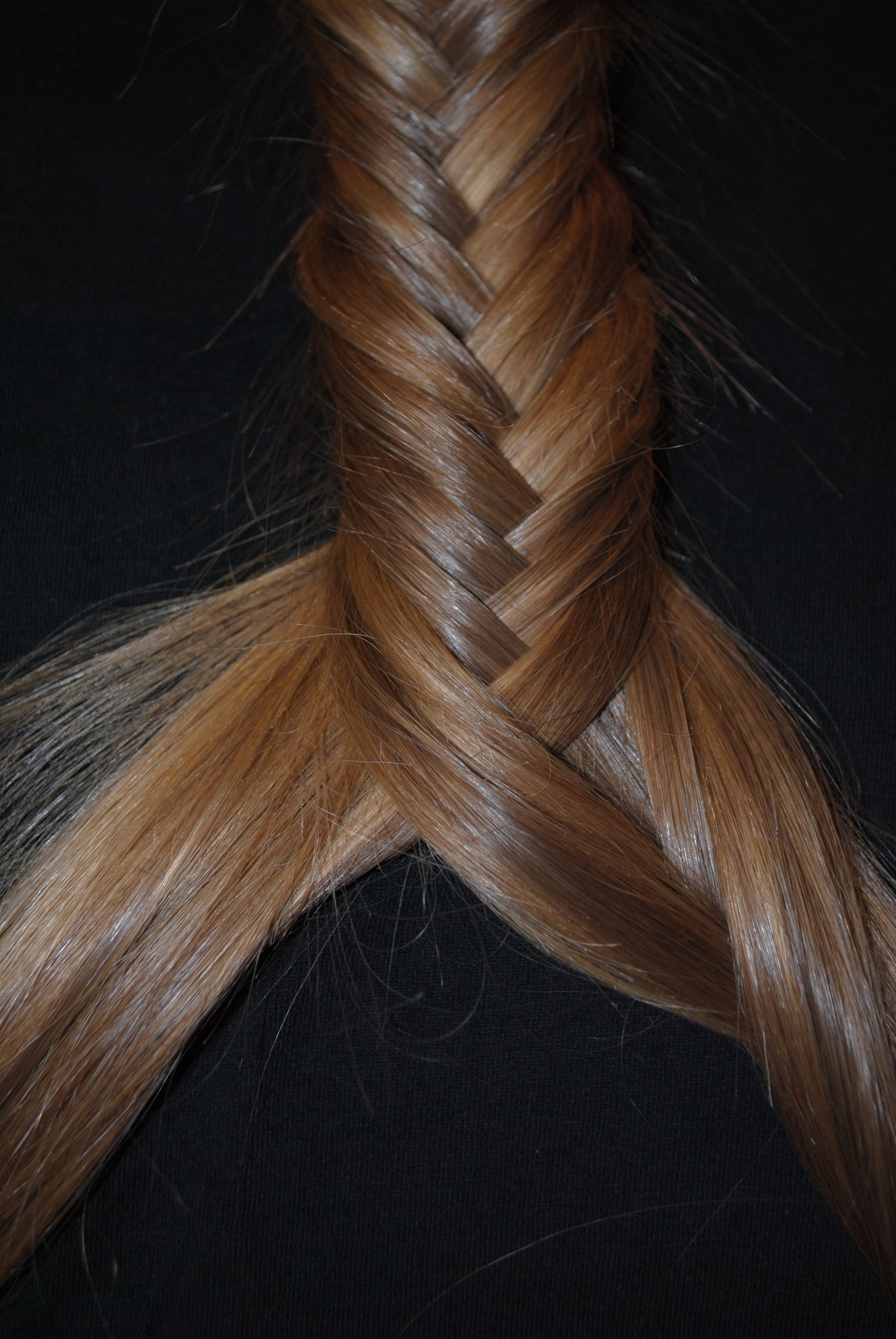 Fish Tail Braid : 6 Steps - Instructables