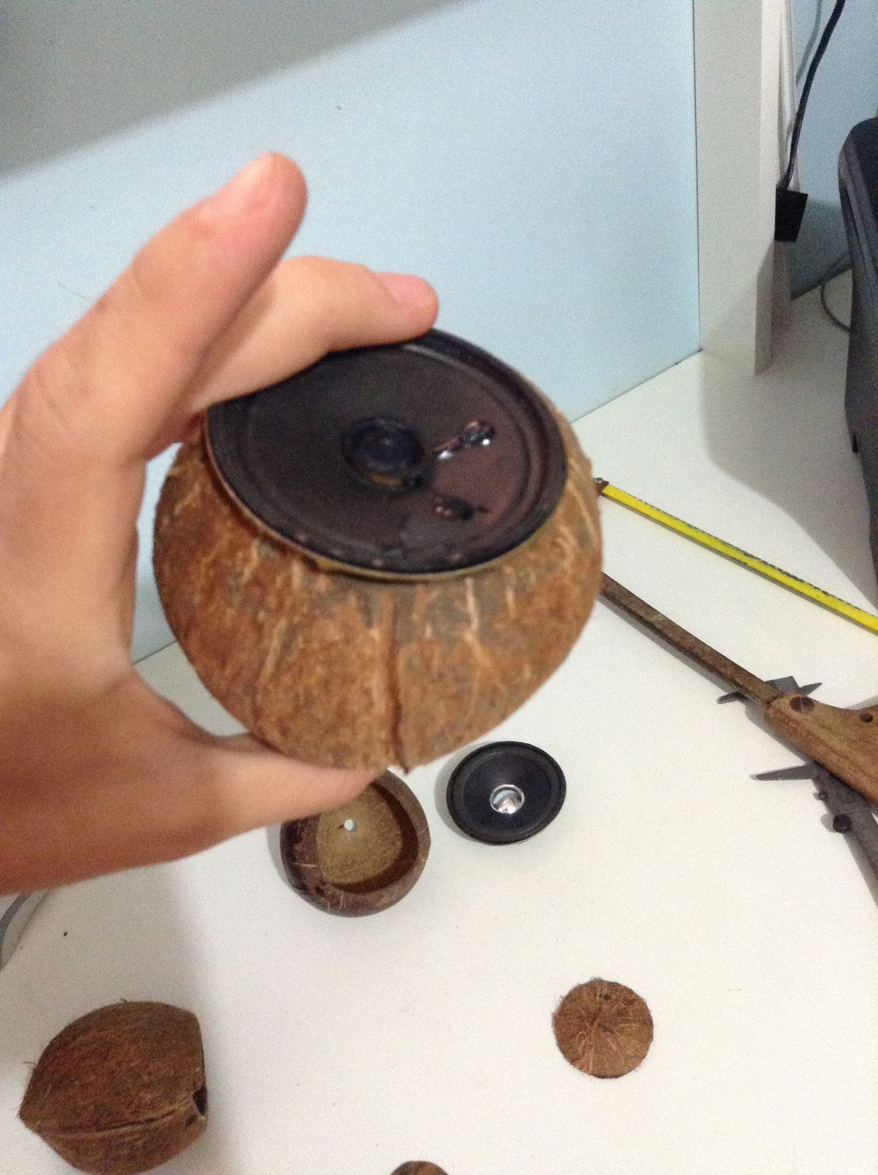 Coconut Speaker. : 4 Steps (with Pictures) - Instructables