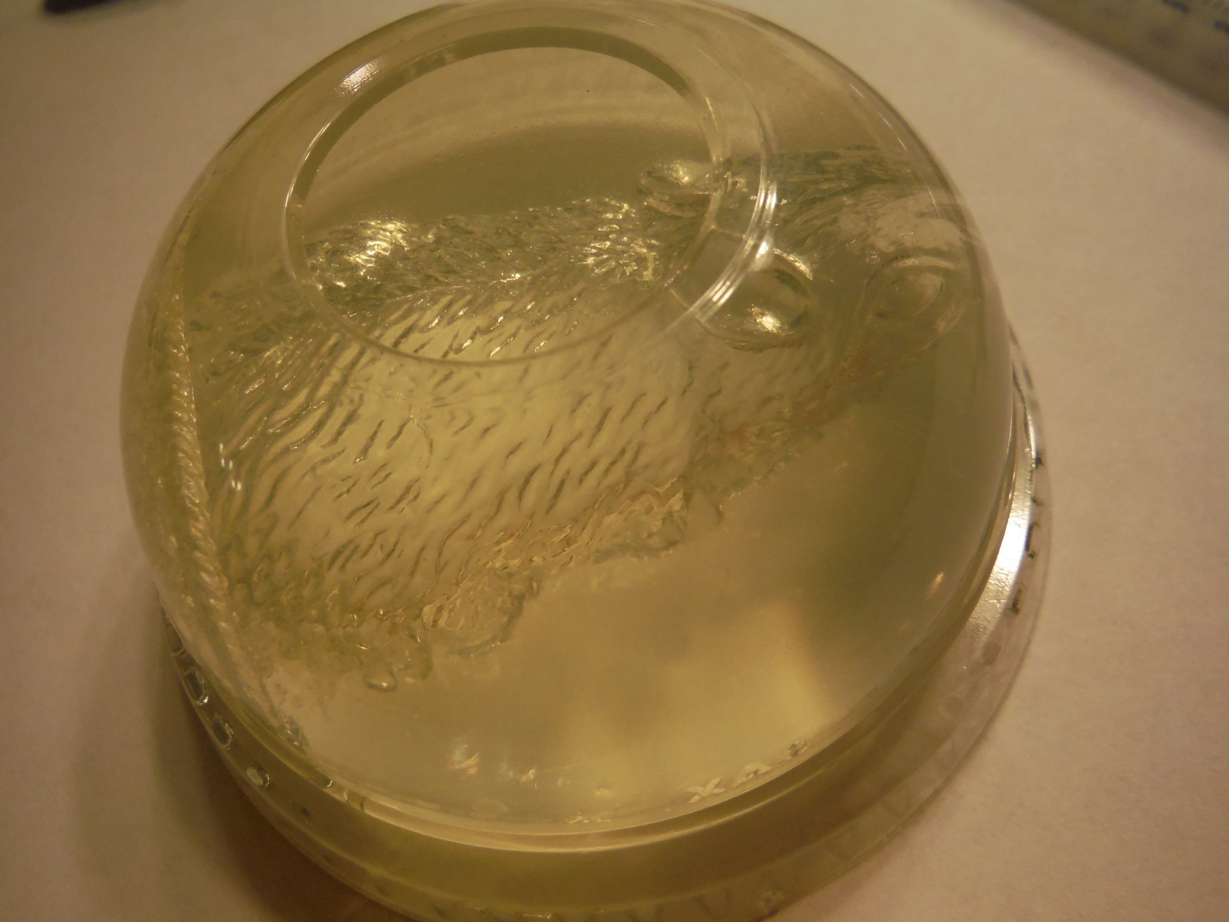 How to Make (edible) Creepy Things Encapsulated in Gelatin : 10 Steps ...