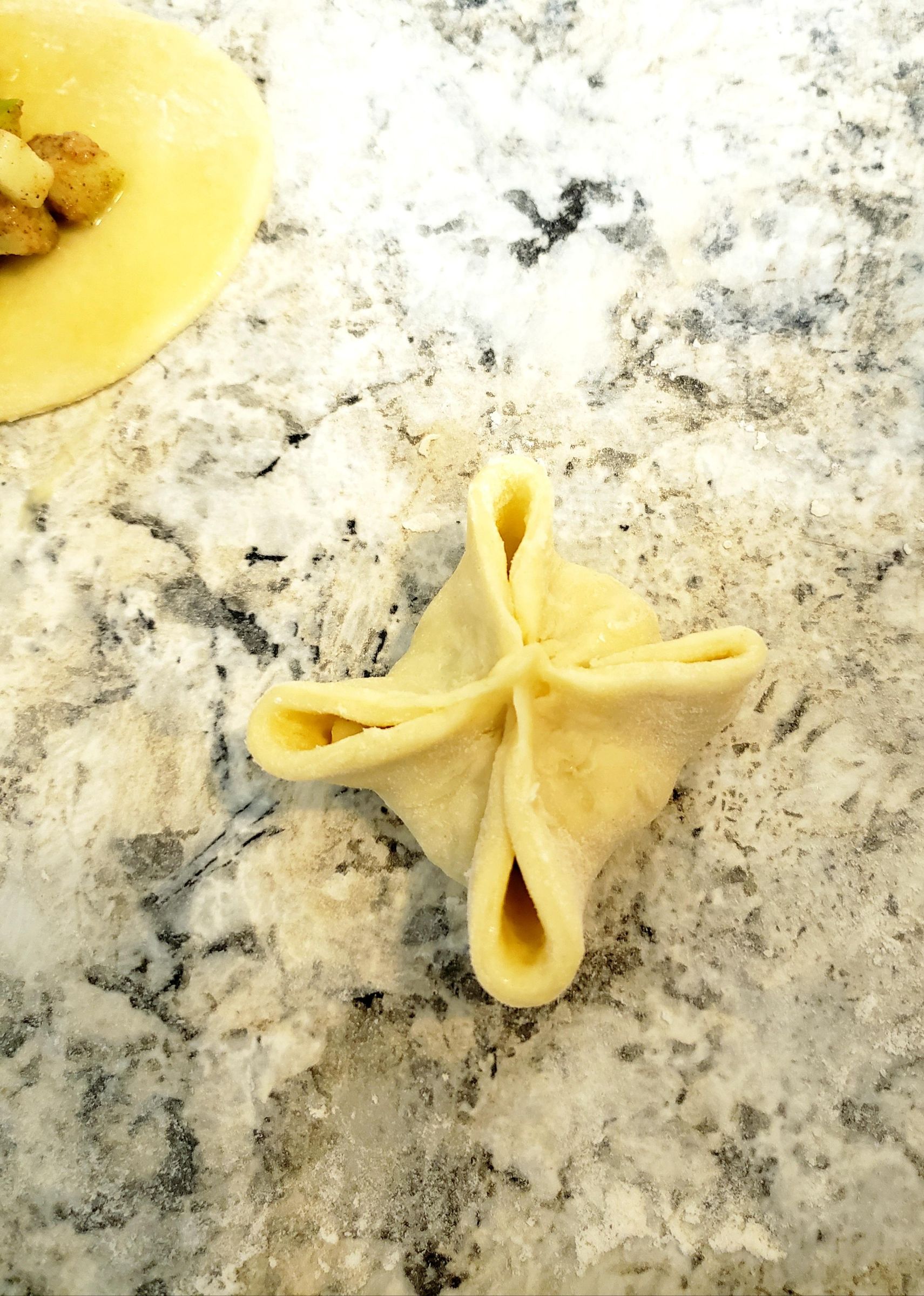 Floral Pinch Pies : 17 Steps (with Pictures) - Instructables
