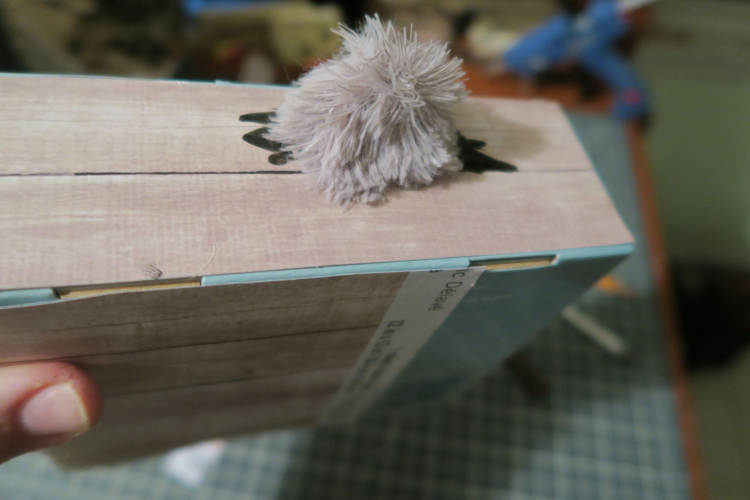 Curiosity Carnival Crates : 10 Steps (with Pictures) - Instructables