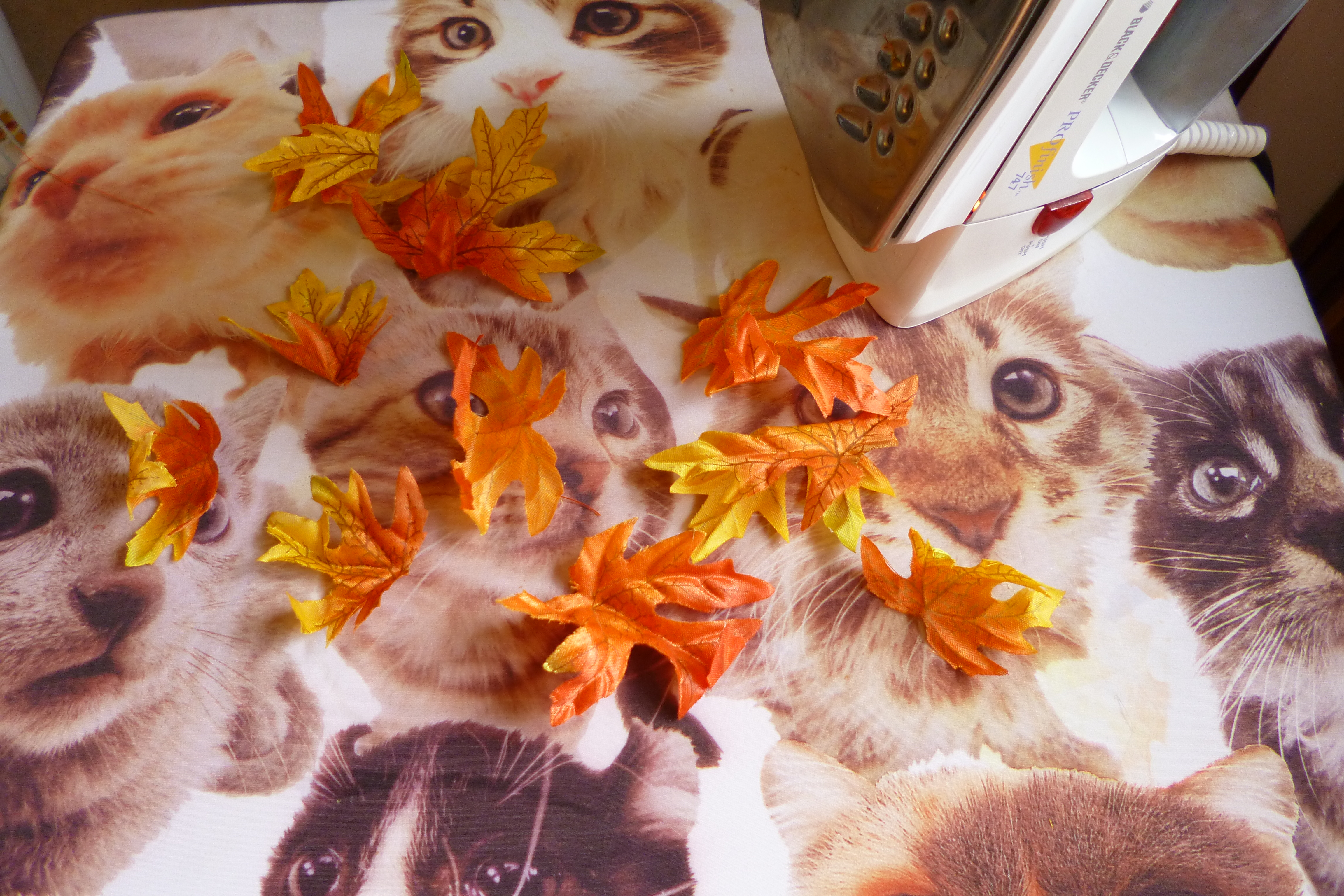 Decorating With Fall Leaves : 5 Steps (with Pictures) - Instructables