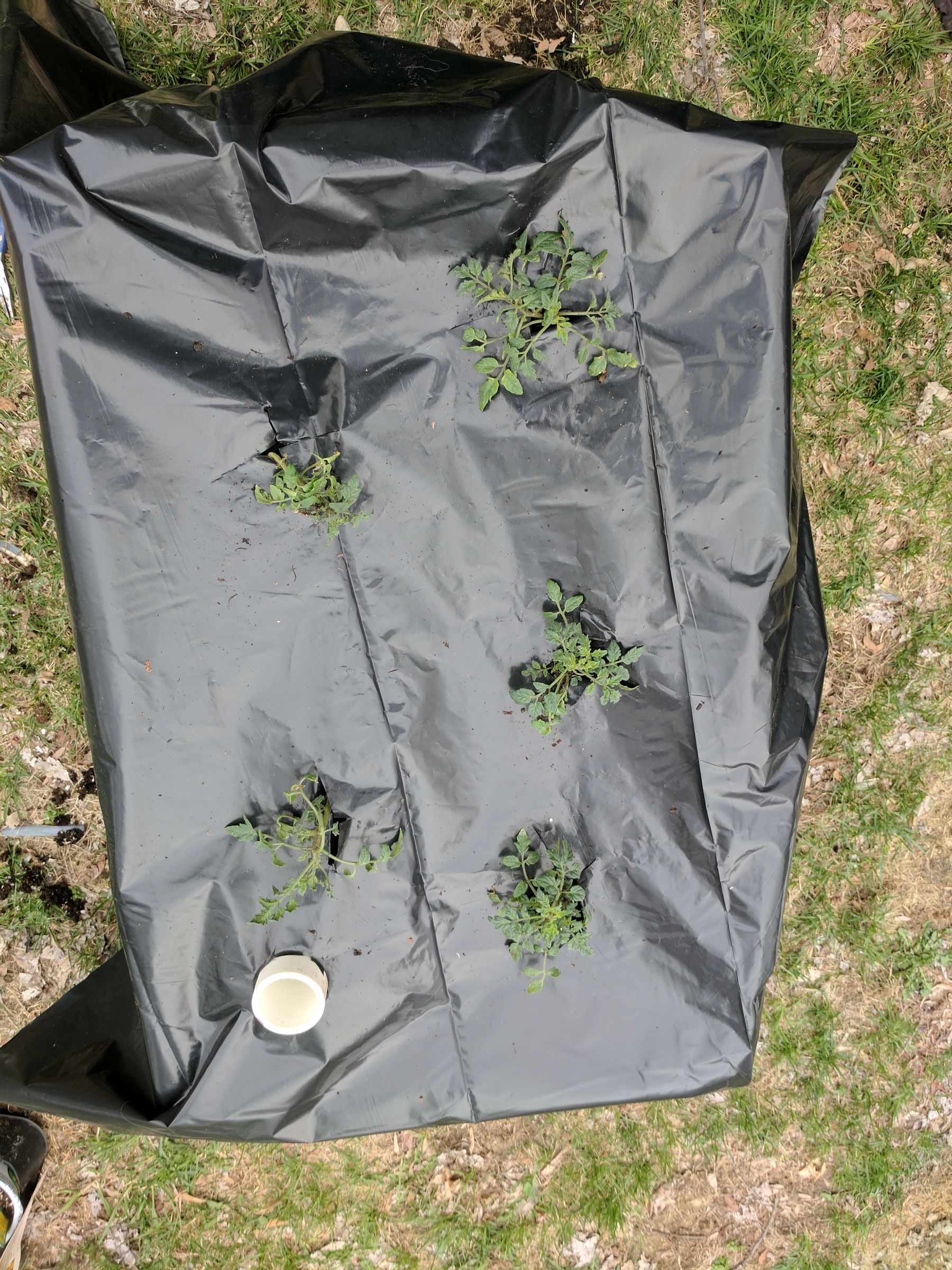 DIY Earth Box : 7 Steps (with Pictures) - Instructables