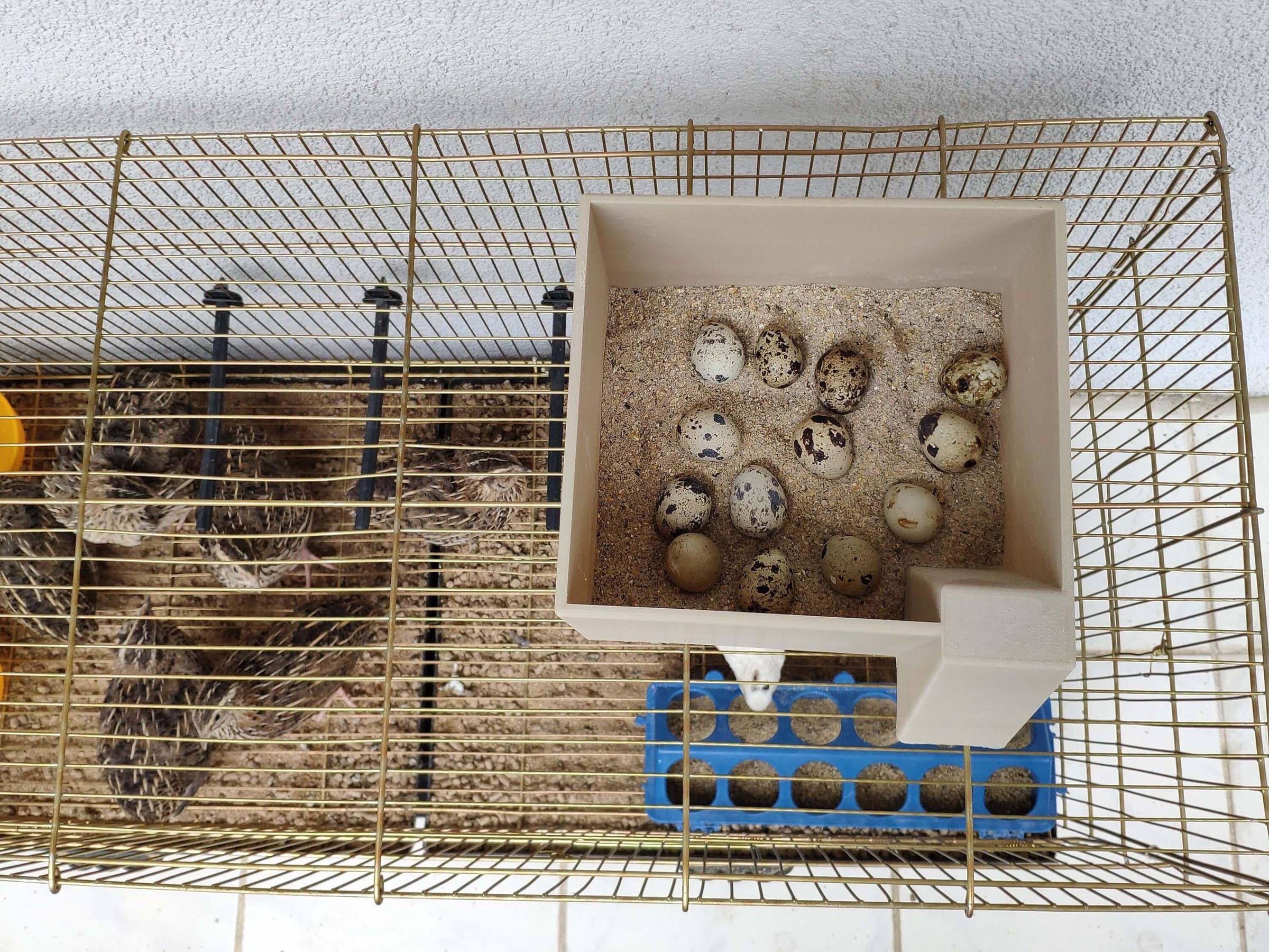 IoT AI-driven Poultry Feeder and Unhatched Egg Tracker W/ WhatsApp : 20 ...