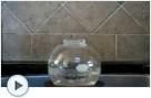 How to Boiling Water Using Ice - Instructables