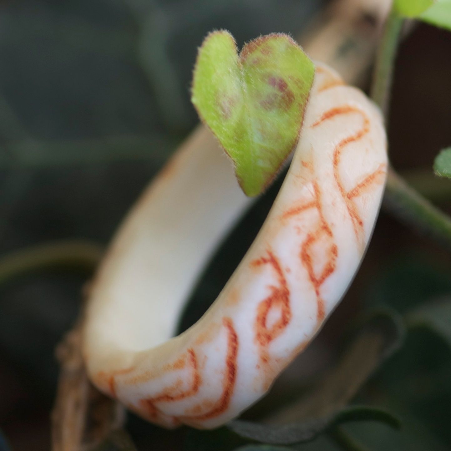 Celtic Knot Bone Ring : 9 Steps (with Pictures) - Instructables