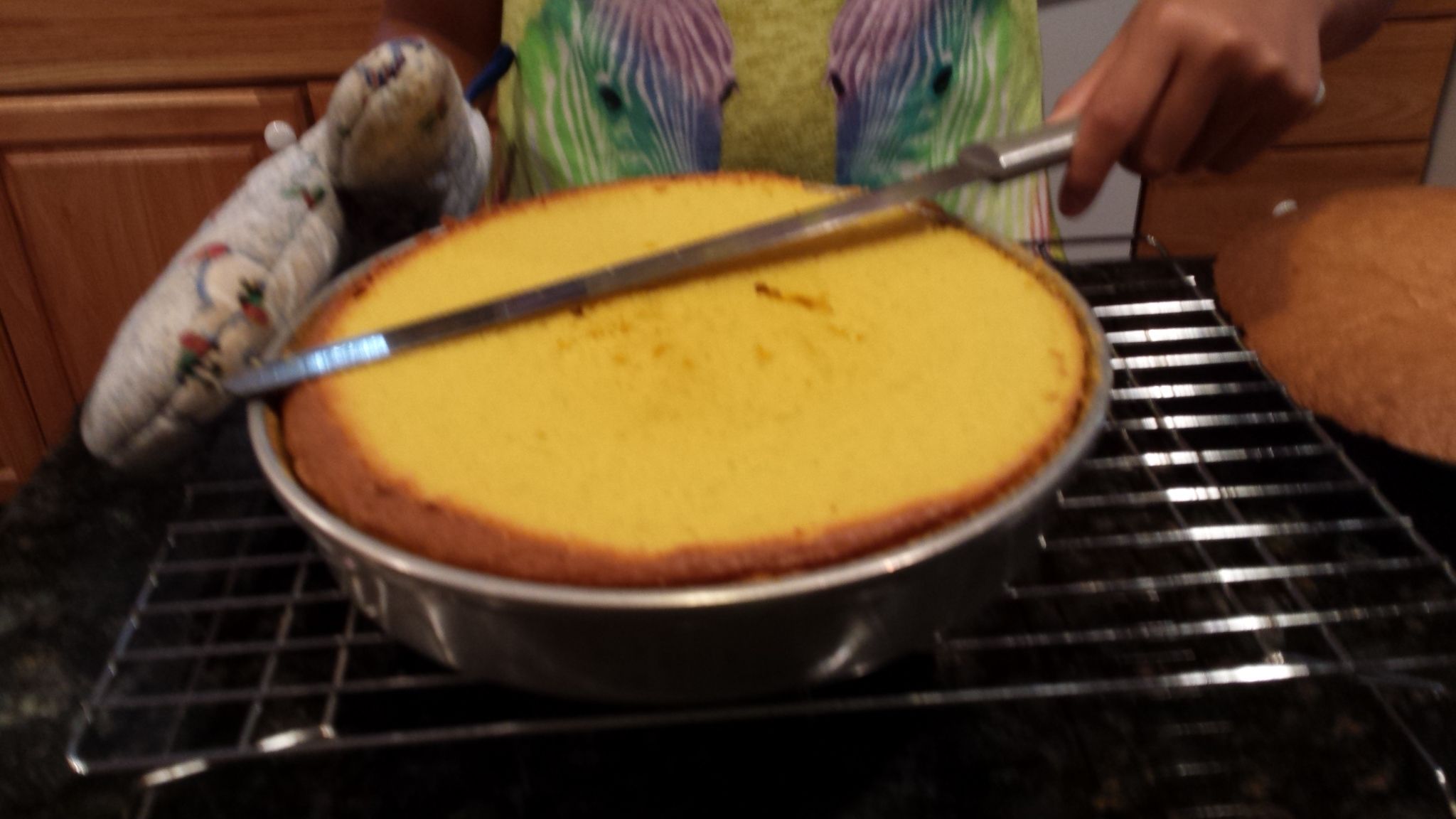 Making a Four Seasons Cake (Family Fun) : 10 Steps (with Pictures ...
