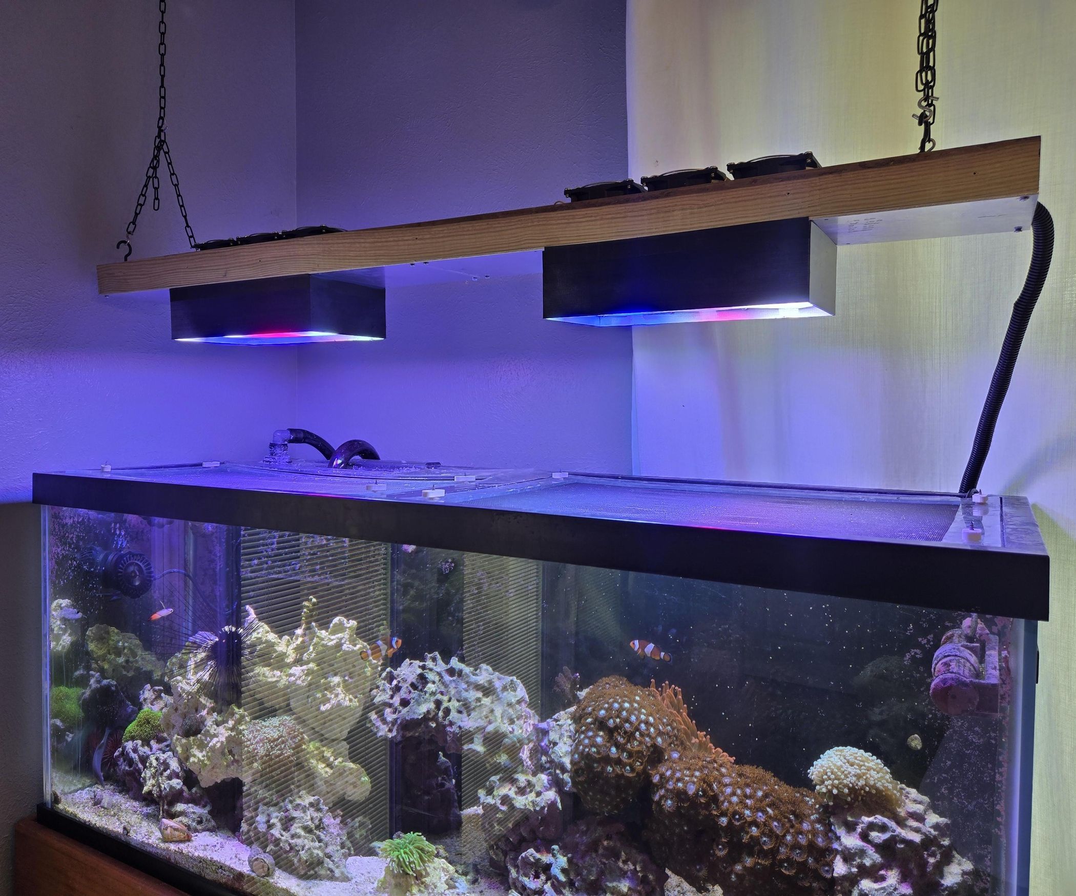 Reef Tank LED Lighting High PAR - Low Cost DIY : 8 Steps (with Pictures ...