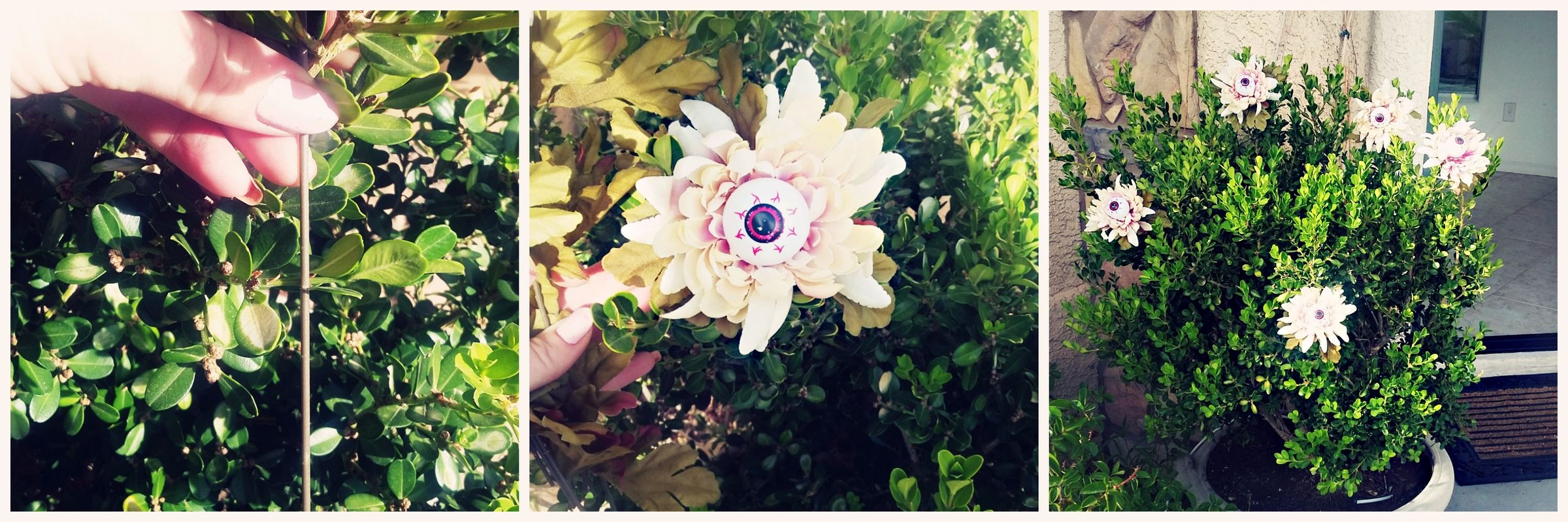 2 Dollar Monster Hedges! : 4 Steps (with Pictures) - Instructables