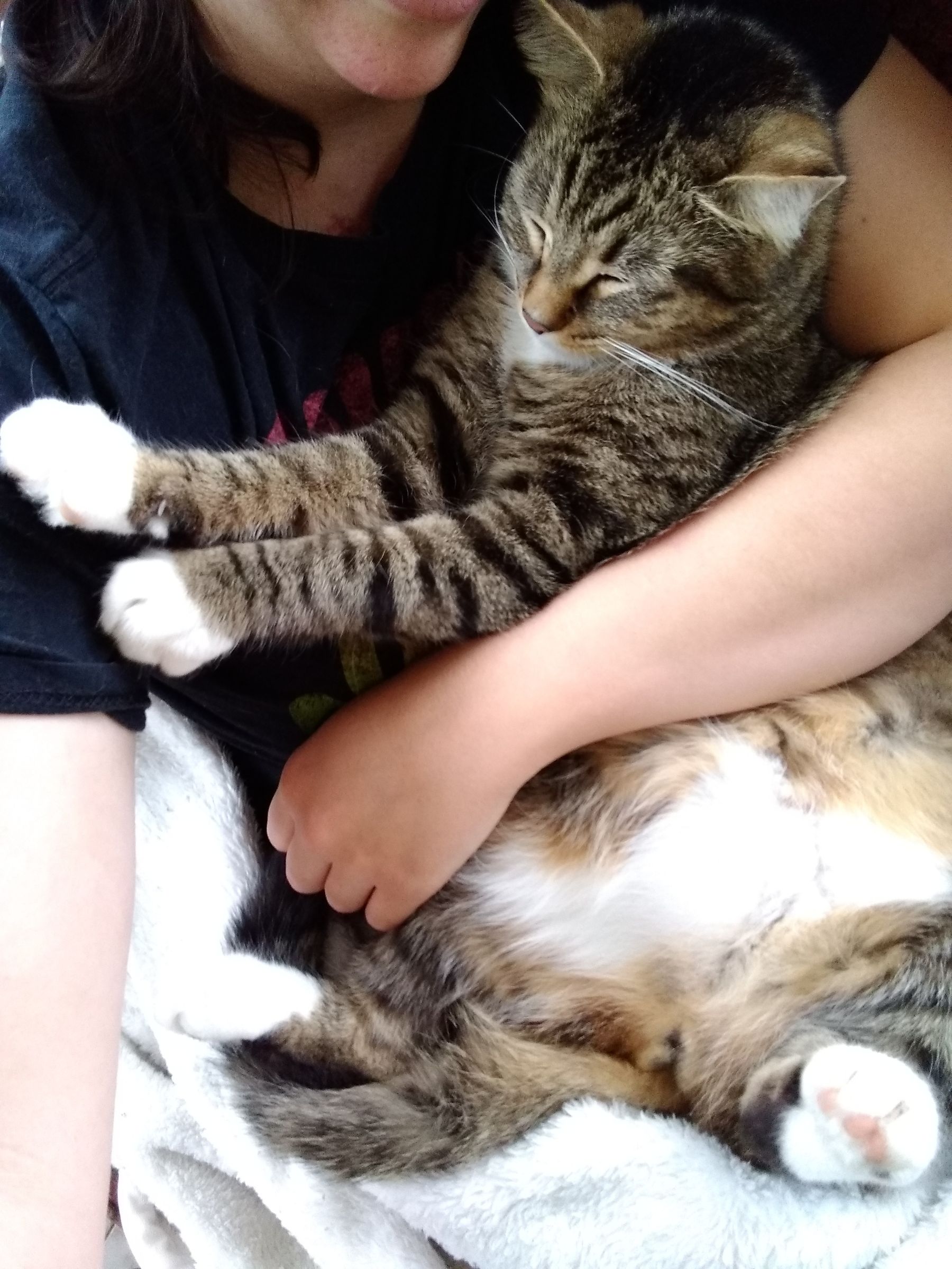 How To: Lull Your Cat to Sleep : 14 Steps (with Pictures) - Instructables