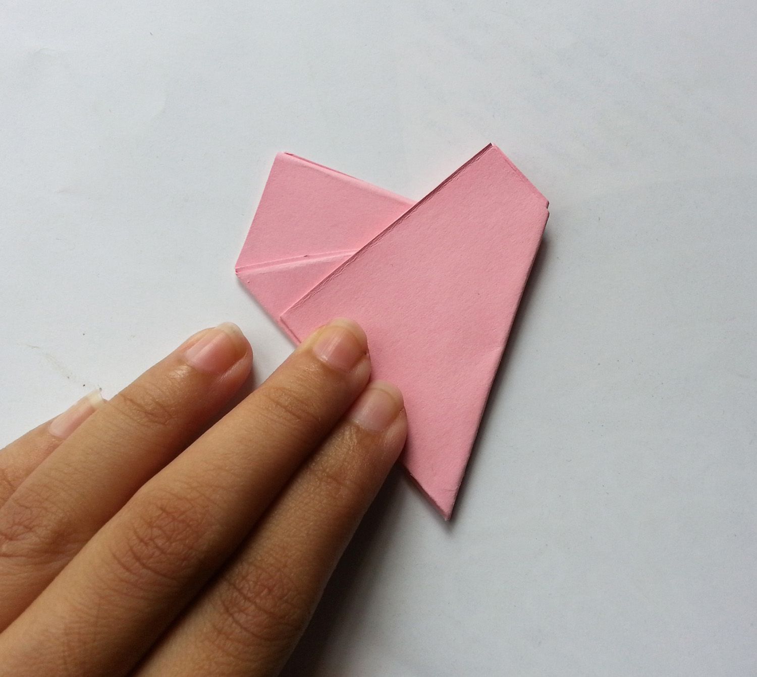 DIY Paper Flowers (Folding Tricks) : 5 Steps (with Pictures ...