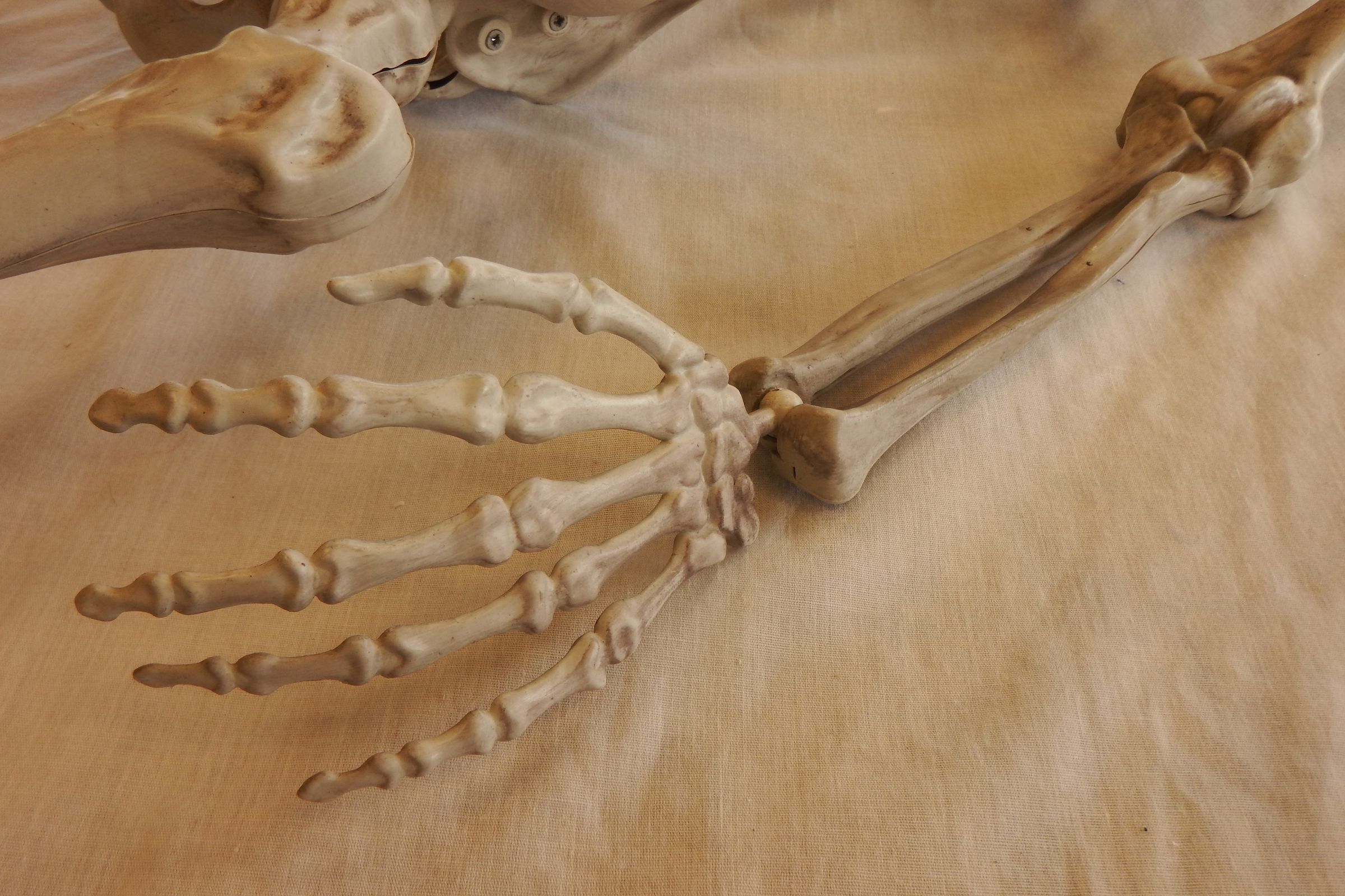 Hack and Repair Plastic Halloween Skeletons : 9 Steps - Instructables