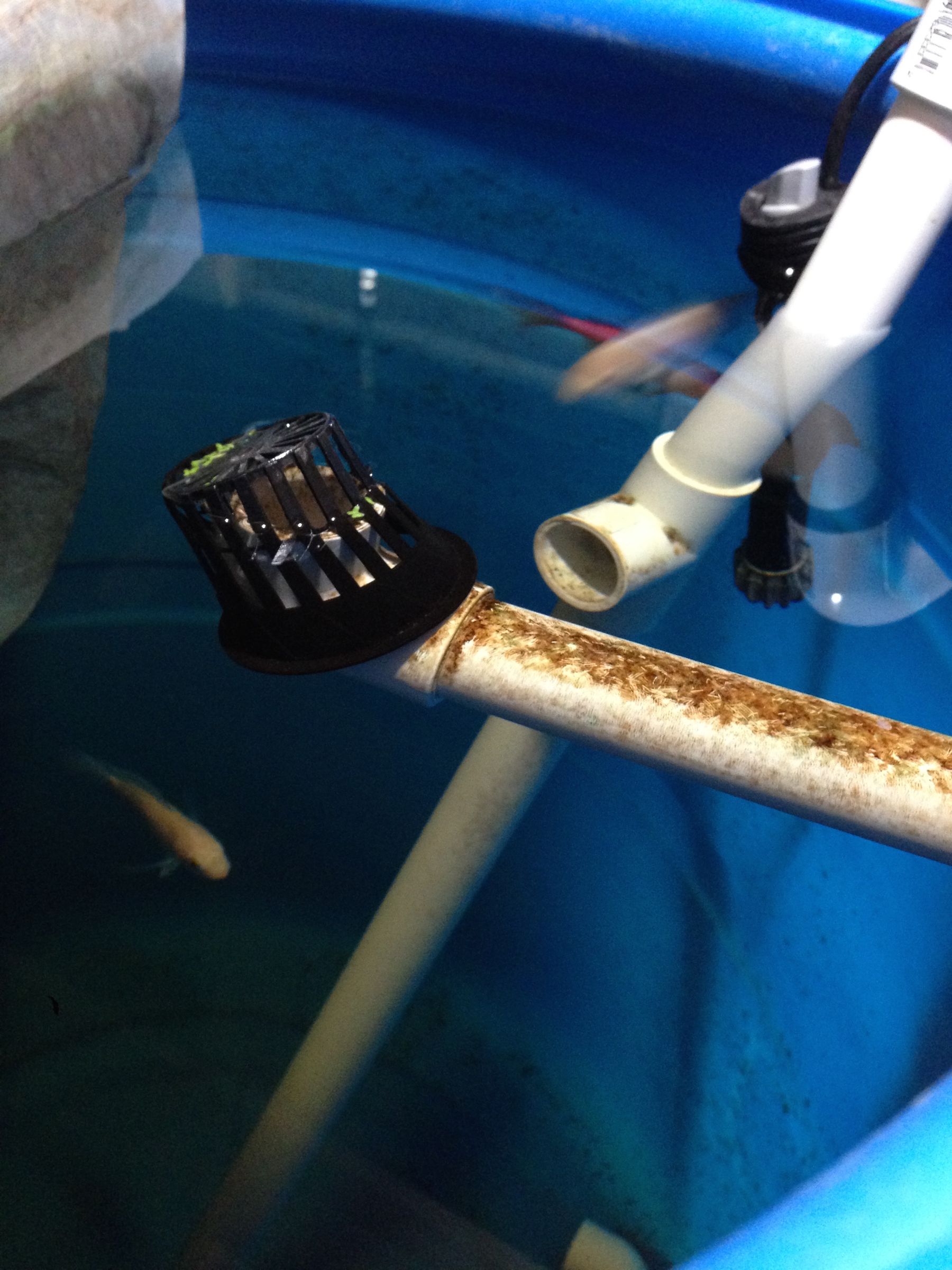 Hydroponic Raft System Update + Aquaponics - Instructables