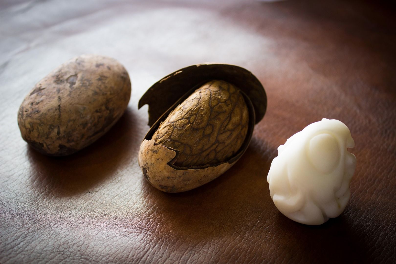 Carved Vegetable Ivory (Tagua) Bracelet : 16 Steps (with Pictures ...