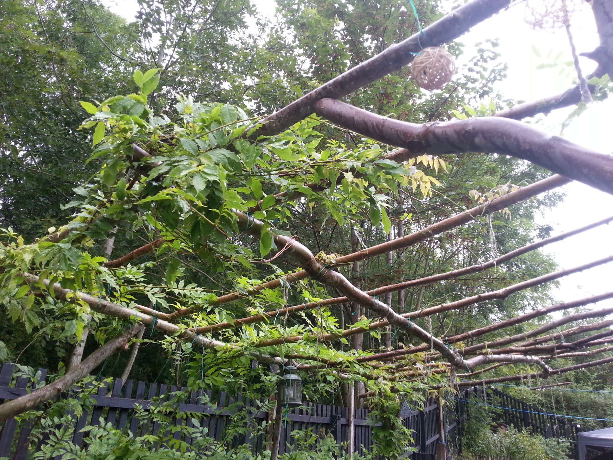 Rustic Pergola : 12 Steps (with Pictures) - Instructables