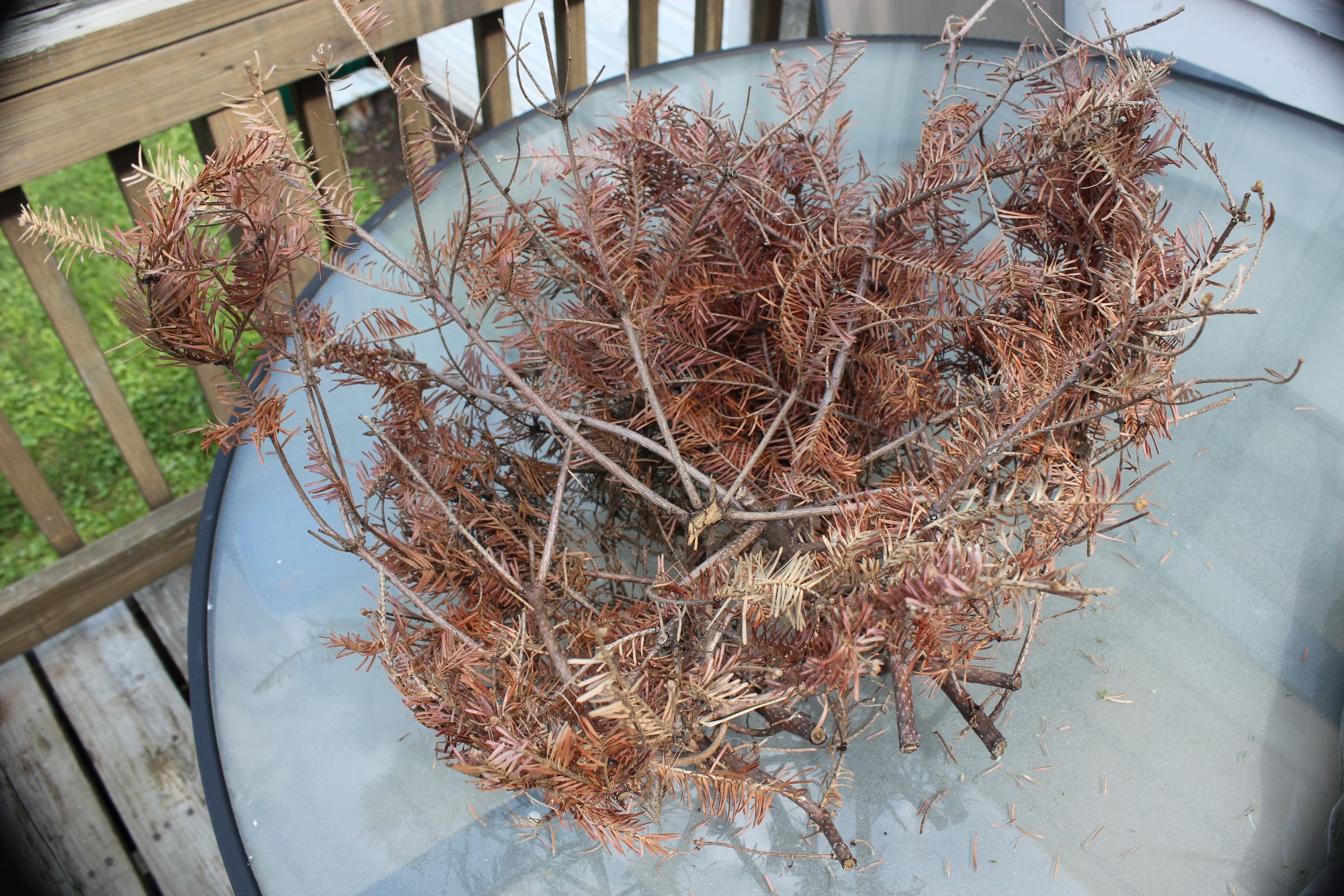 Alternative Mixed Media Sun Dried Paper Briquettes : 11 Steps (with ...