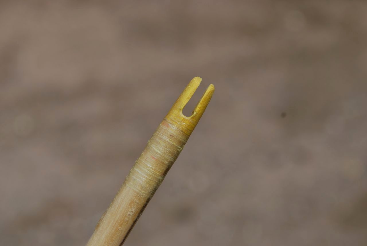 Making Bamboo Arrows : 10 Steps (with Pictures) - Instructables