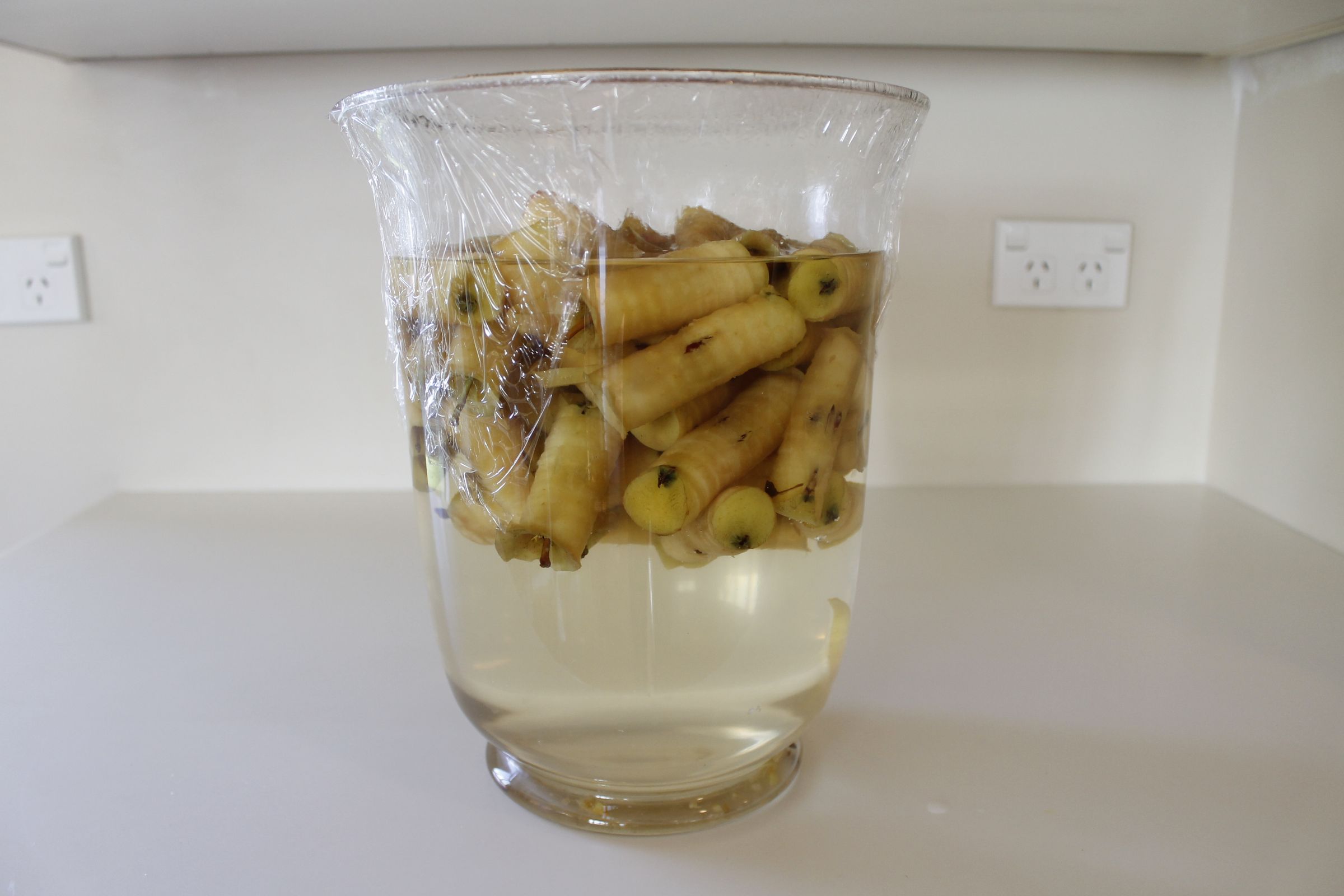 Home Made Apple Core Wine : 9 Steps (with Pictures) - Instructables