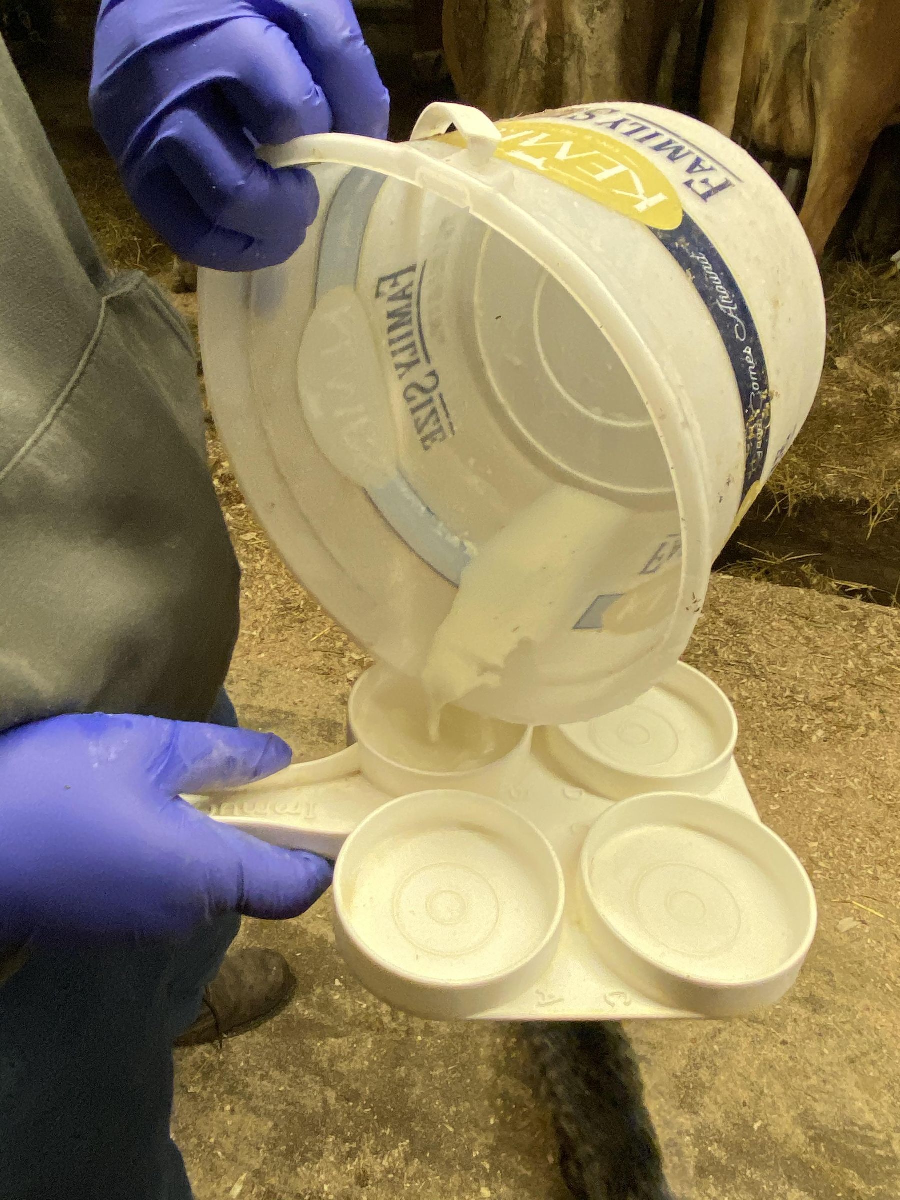 California Mastitis Test : 6 Steps - Instructables