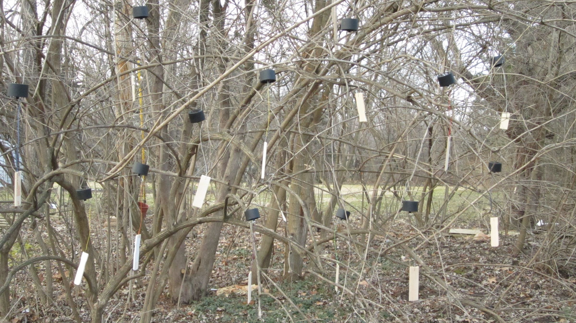 Wind Activated Garden Lights : 9 Steps (with Pictures) - Instructables