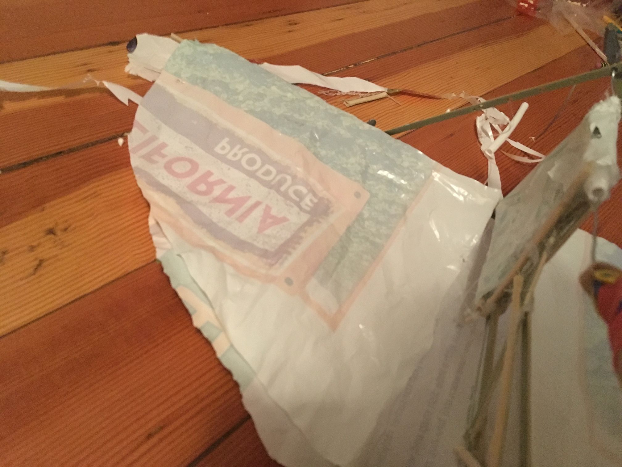A Simple, Functional Ornithopter : 9 Steps - Instructables