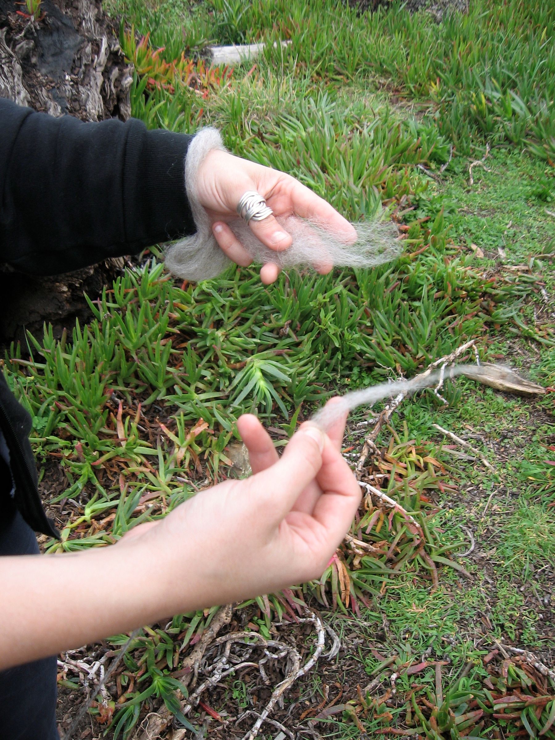 Spinning Yarn : 11 Steps (with Pictures) - Instructables