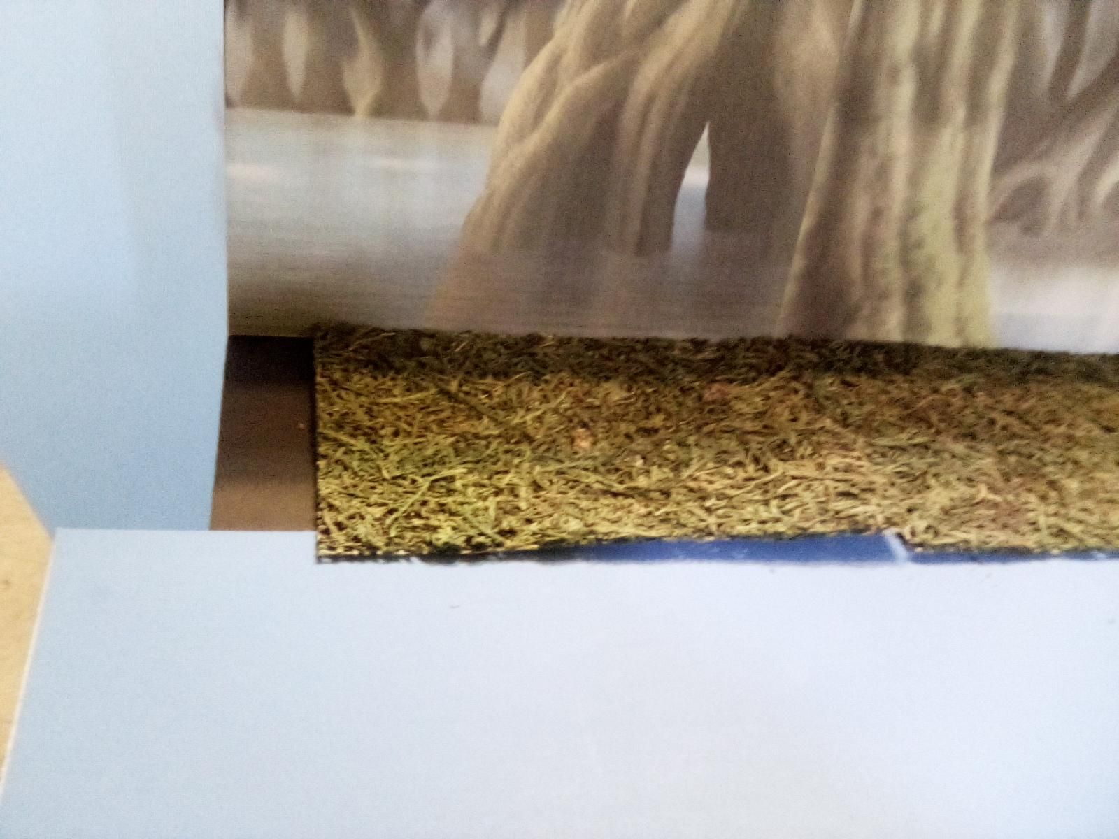 Riverbank Diorama : 6 Steps - Instructables