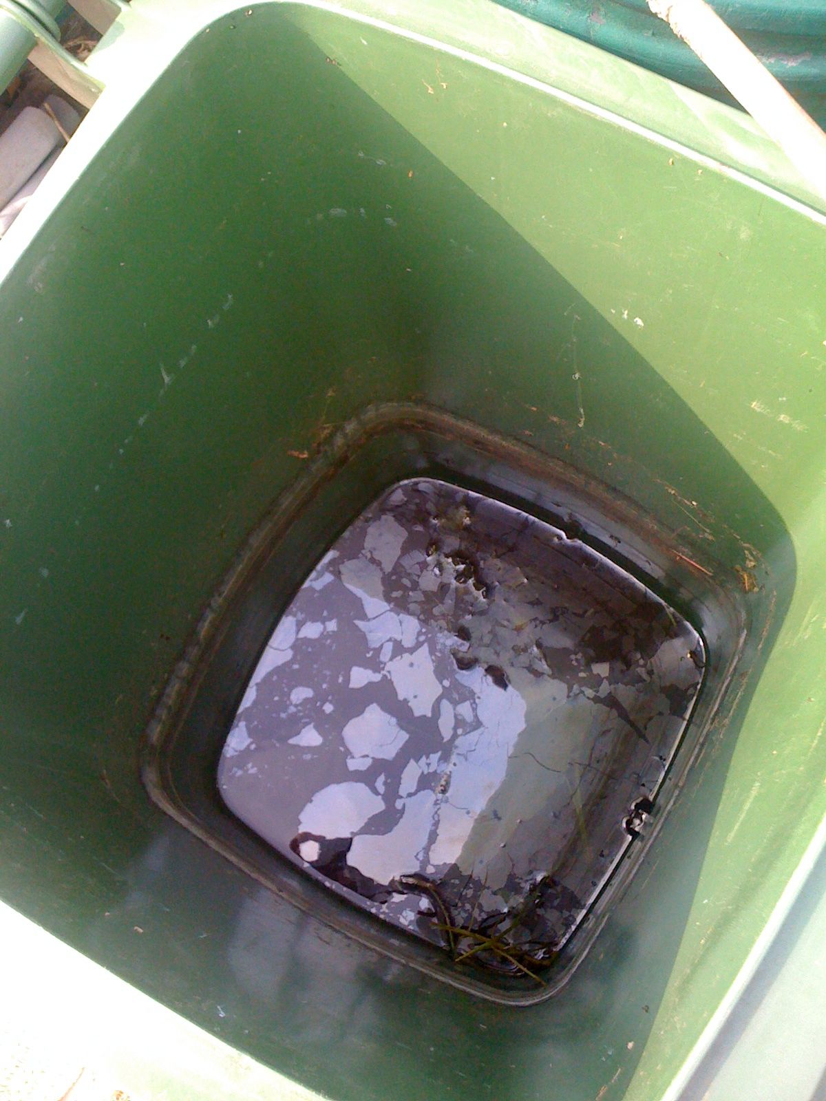 Nettle Fertiliser : 5 Steps - Instructables
