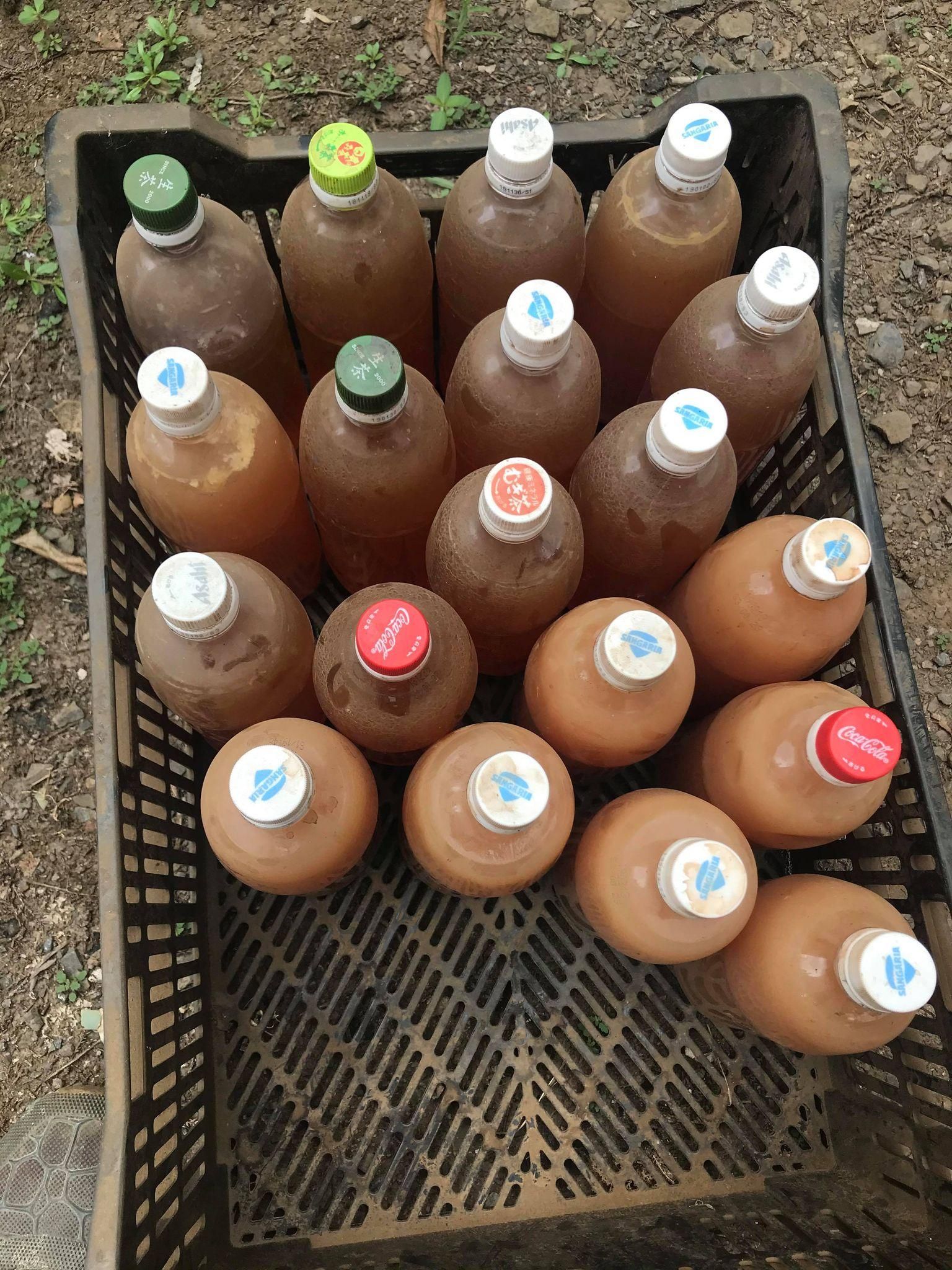 How to Make Kakishibu (fermented Persimmon Tannin Dye) : 7 Steps (with ...