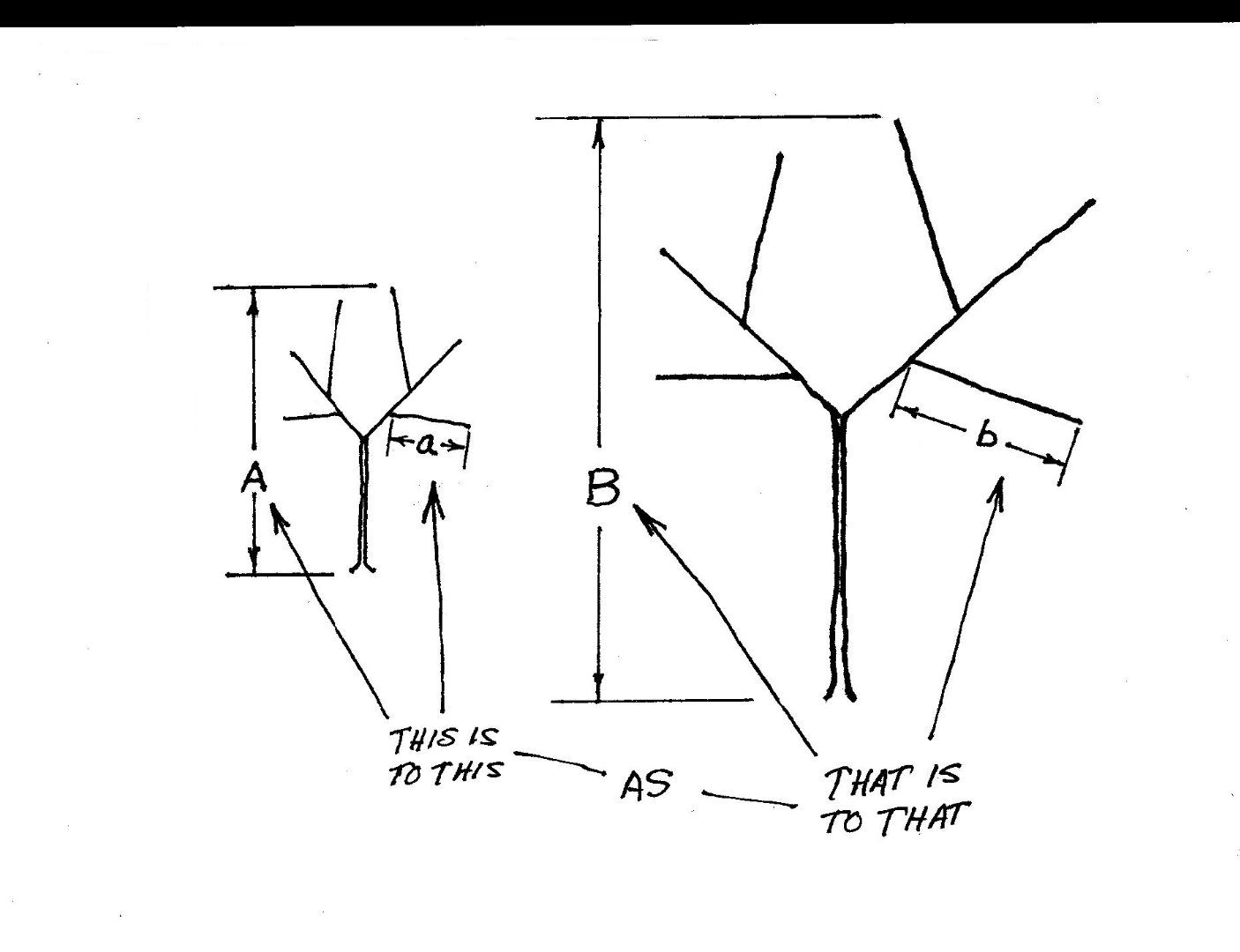 The Making of "Myrtle the Turtle" : 14 Steps (with Pictures ...