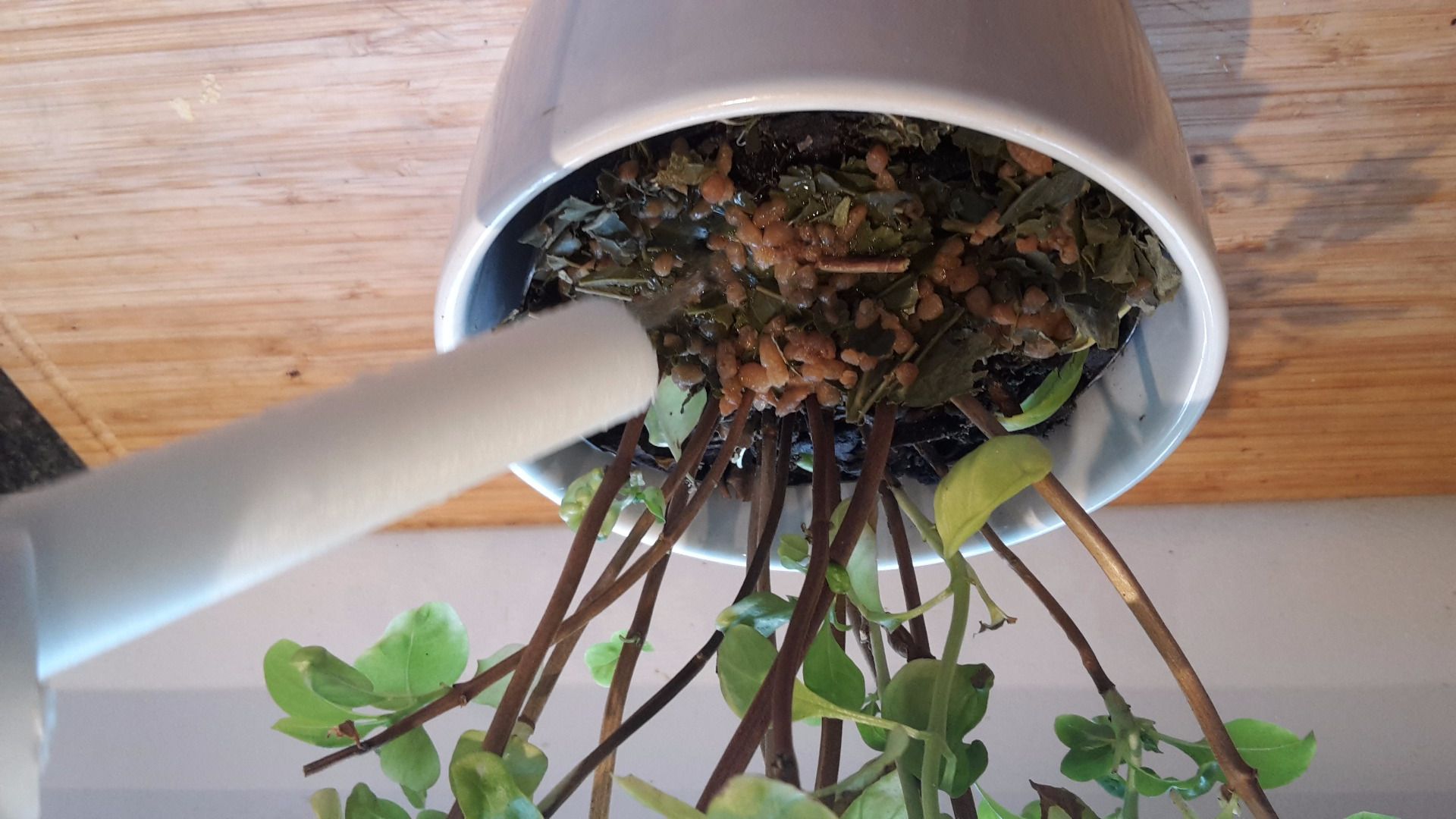 3D Printable Watering Can : 3 Steps - Instructables