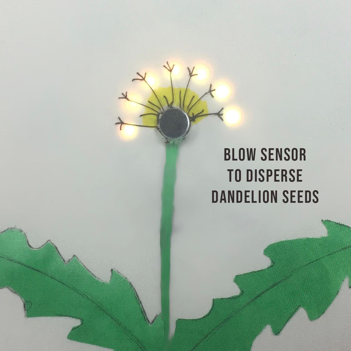 Interactive Dandelion : 11 Steps (with Pictures) - Instructables