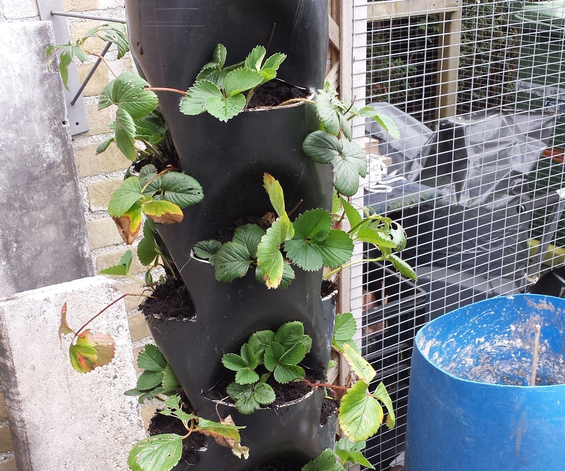 Plant Tower Made Out of PVC Pipe (15 Pockets) : 8 Steps (with Pictures ...