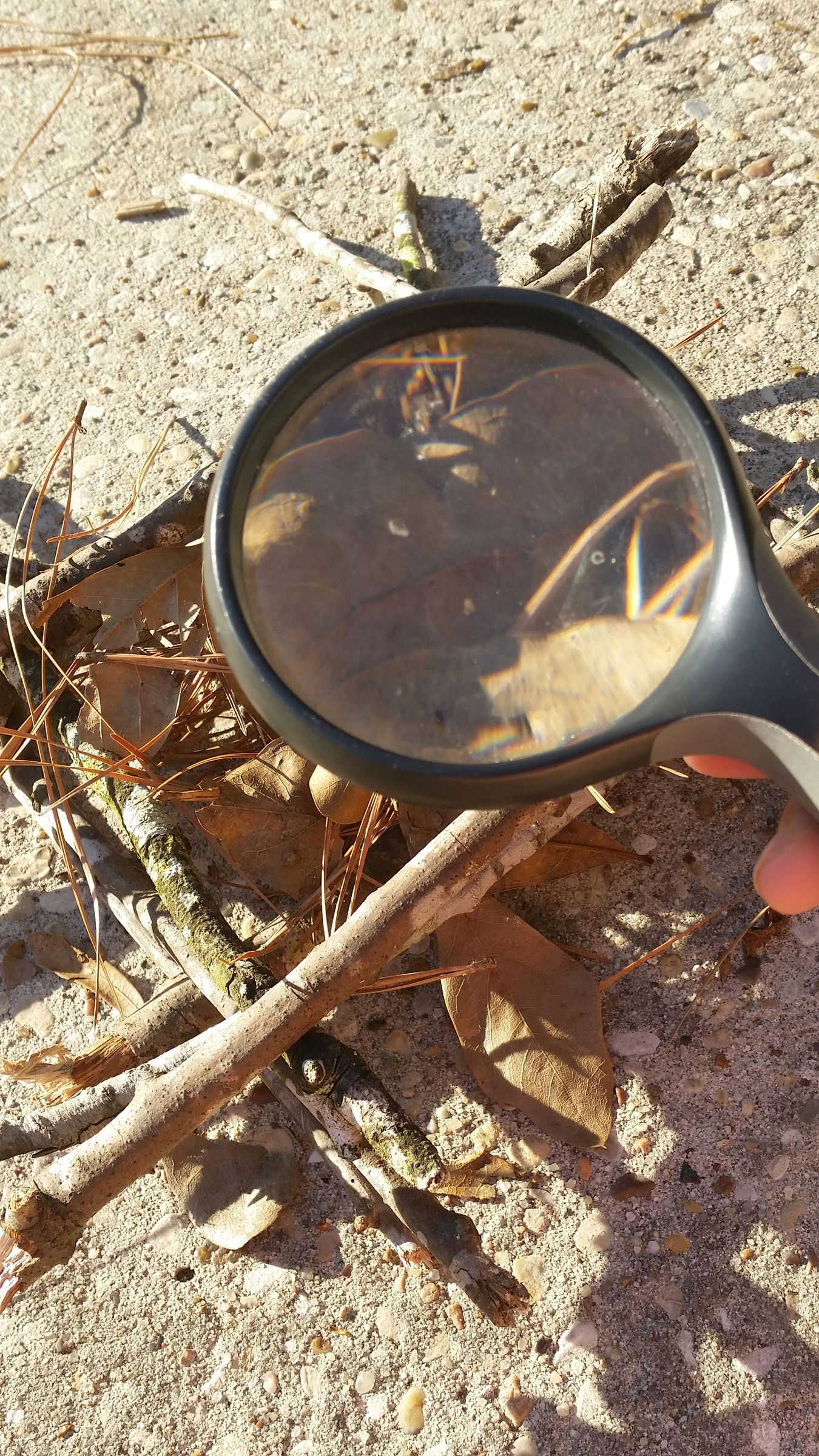 How to Start a Fire With a Magnify Glass : 3 Steps - Instructables