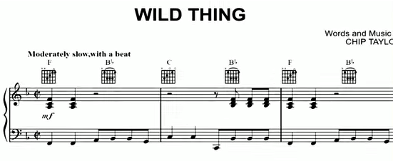 Wild Thing Guitar Chords