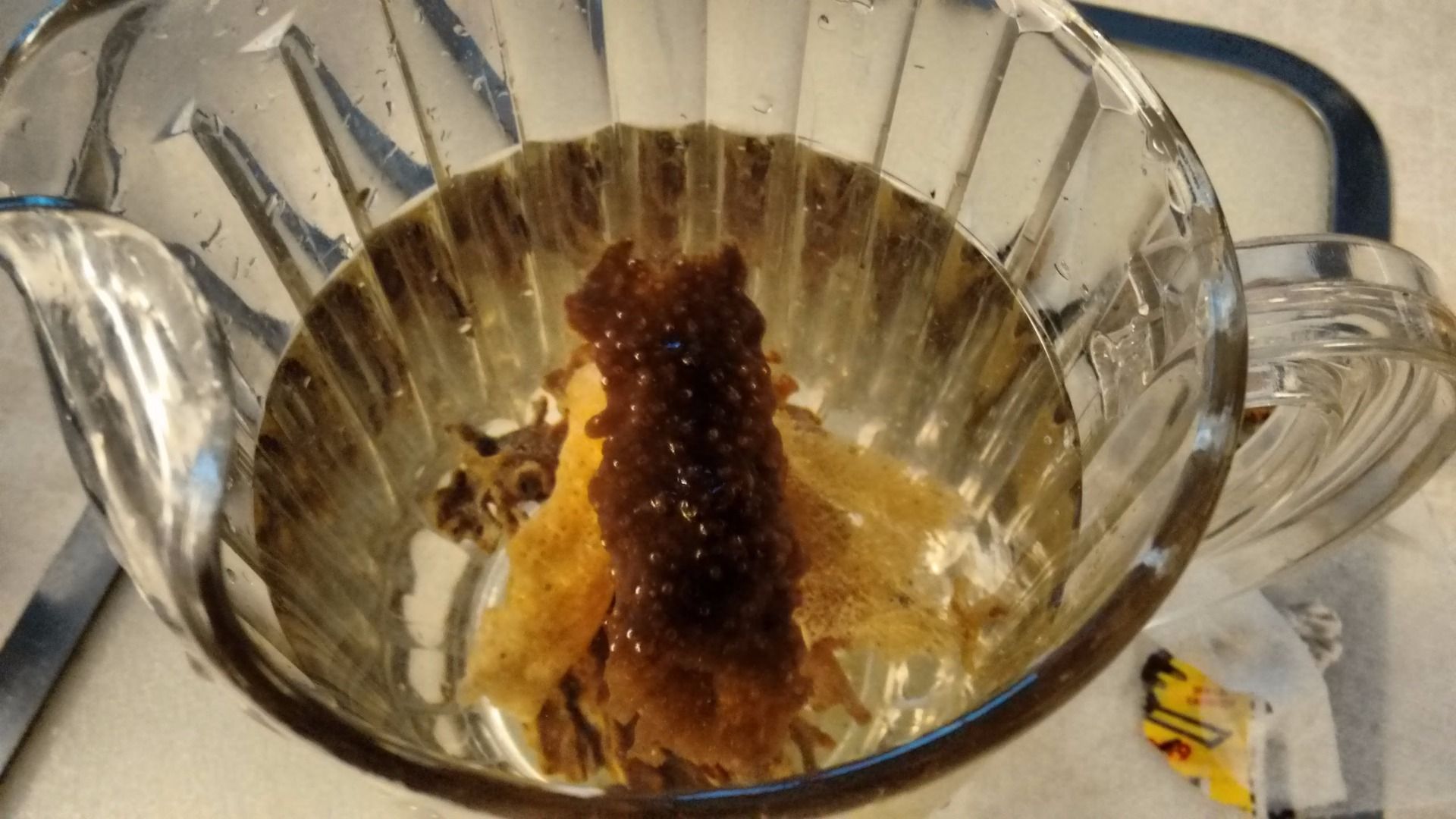 Sponging Up: Cleaning & Preserving Beachcombed Sponges : 10 Steps (with ...