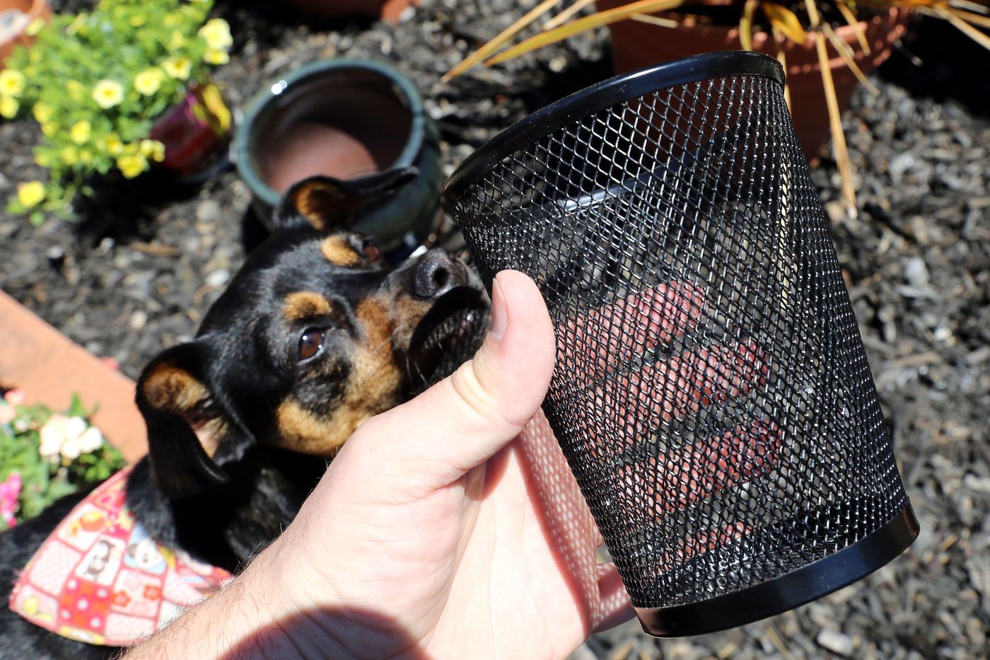 Concrete Boot Planter : 10 Steps (with Pictures) - Instructables