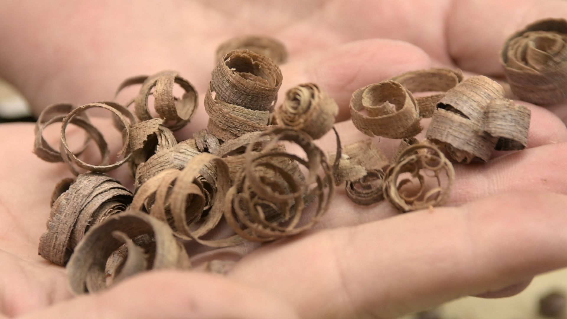 The Making of a Giant Walnut Prop : 12 Steps (with Pictures ...