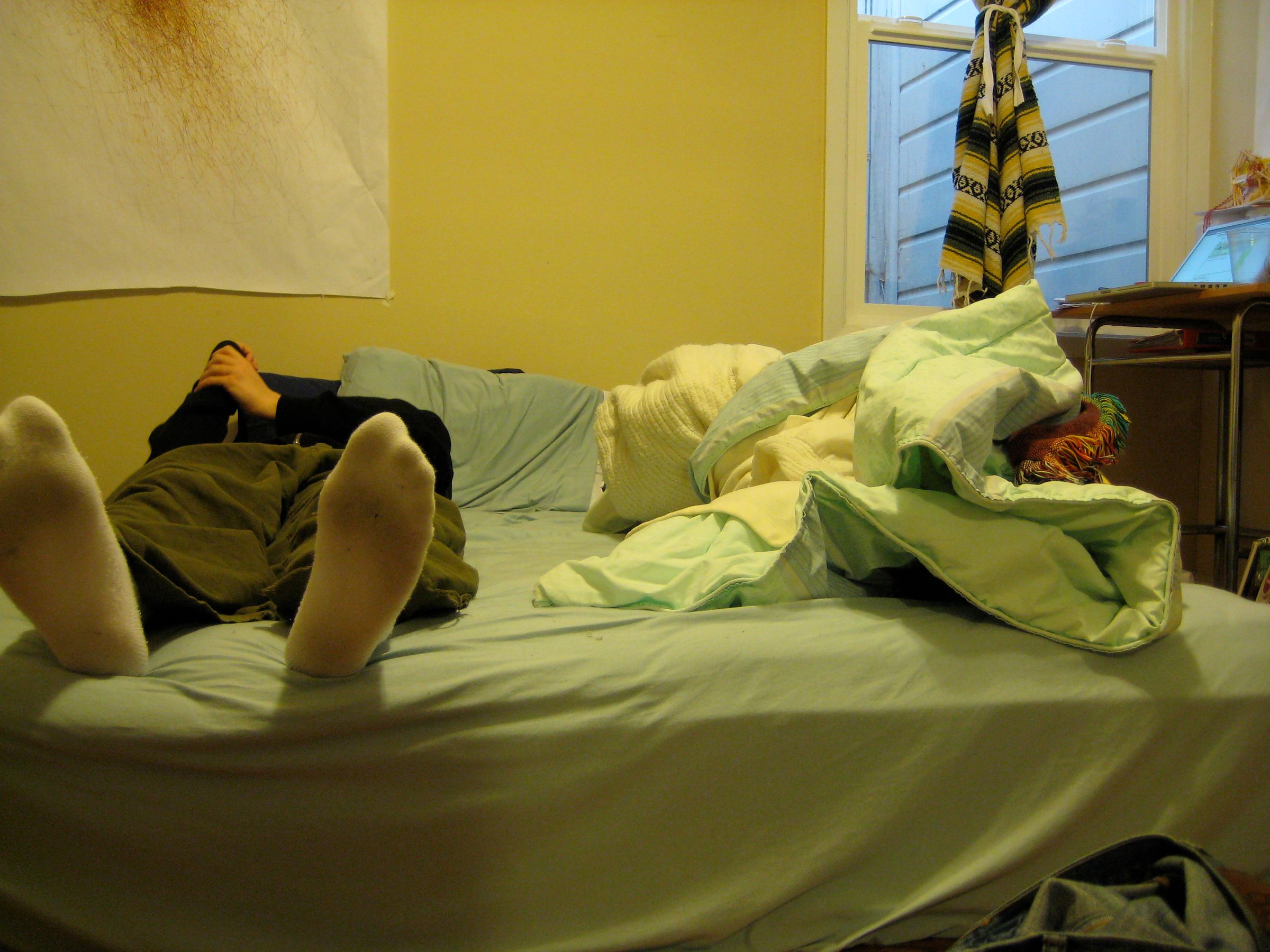 How to Catch Fleas : 7 Steps - Instructables