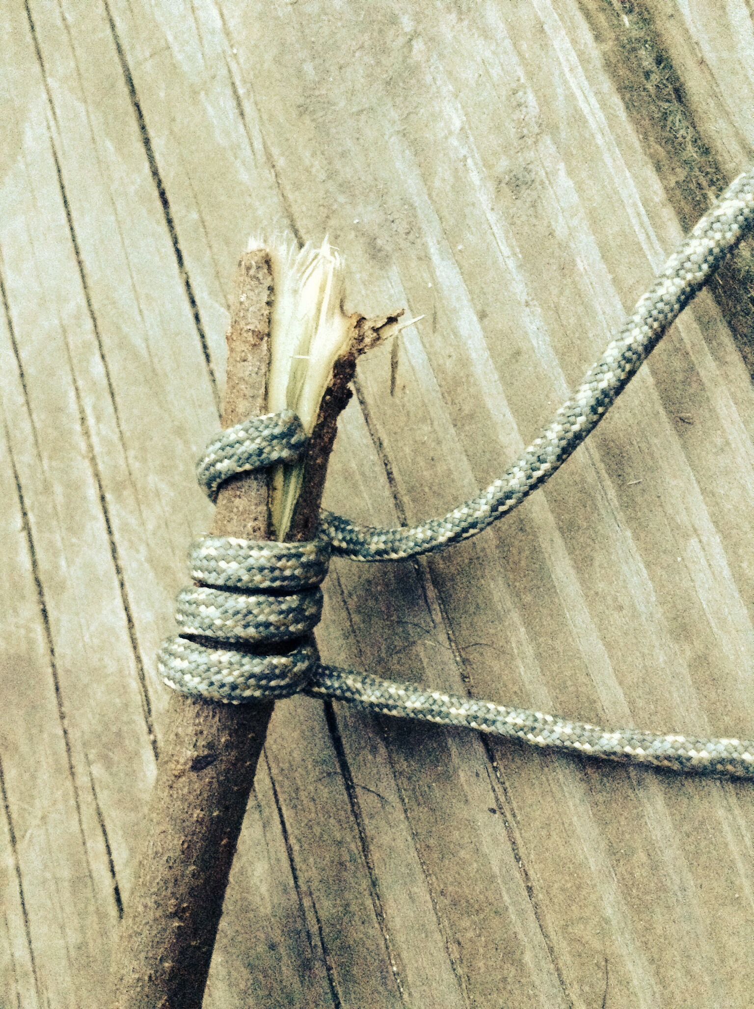 How to Make a Survival Whip Bow : 6 Steps - Instructables