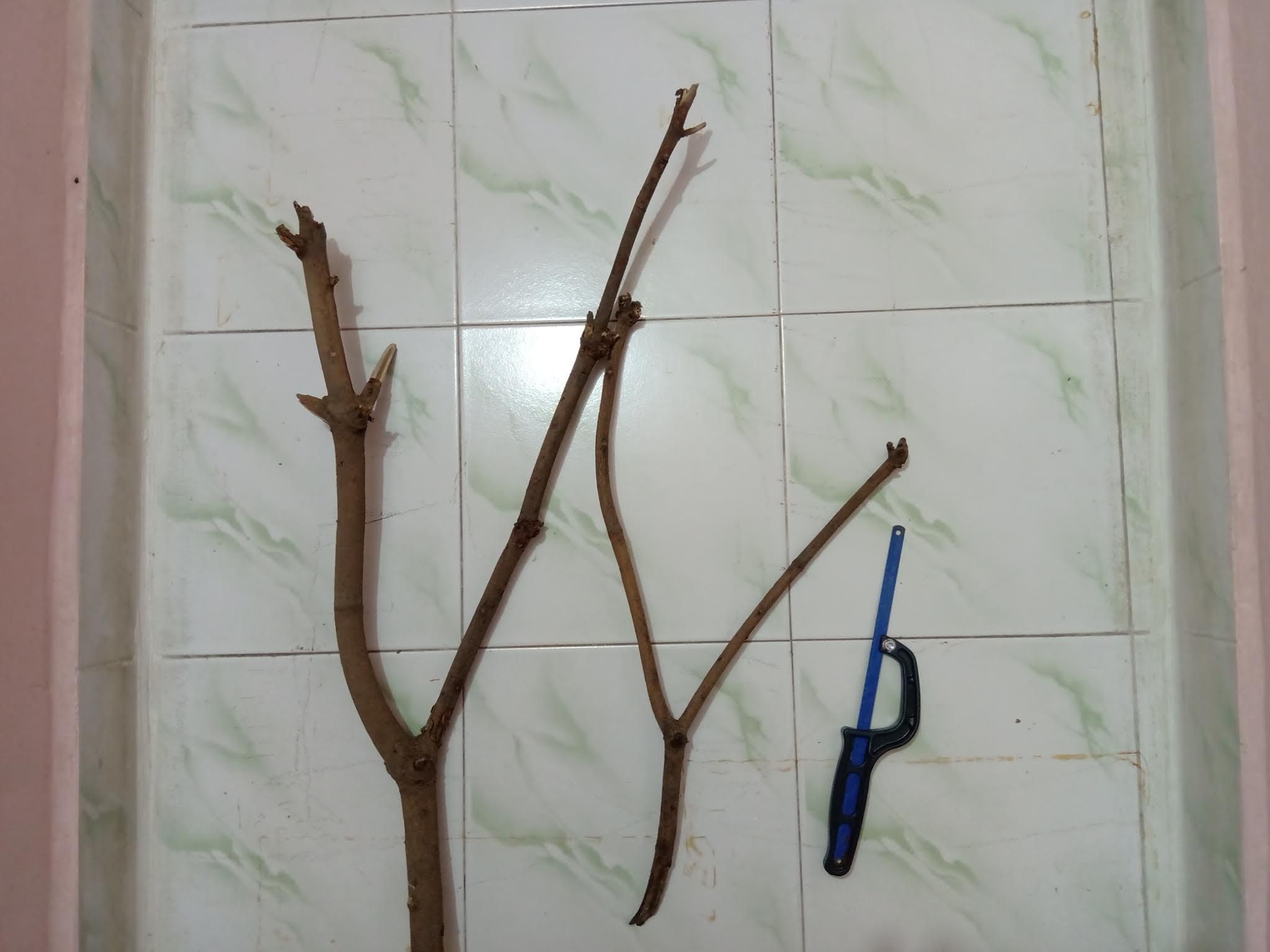 Wood & Yarn (Full & Partial Branch Weaving, Tiny Birds) - Home Decor ...