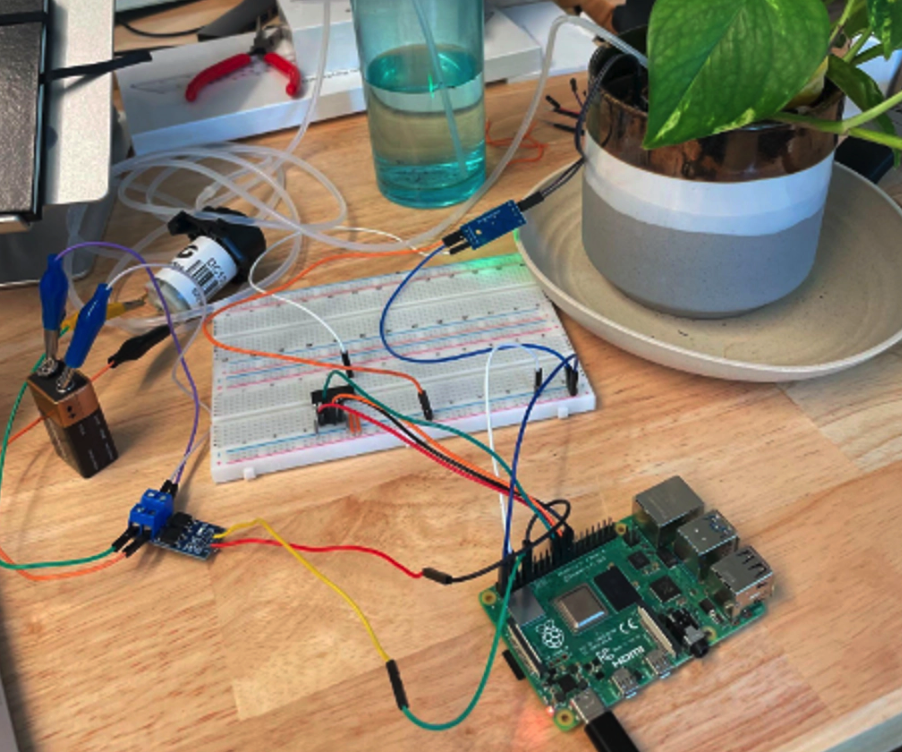 Build Your Own Plant Watering Robot With a Raspberry Pi : 3 Steps - Instructables