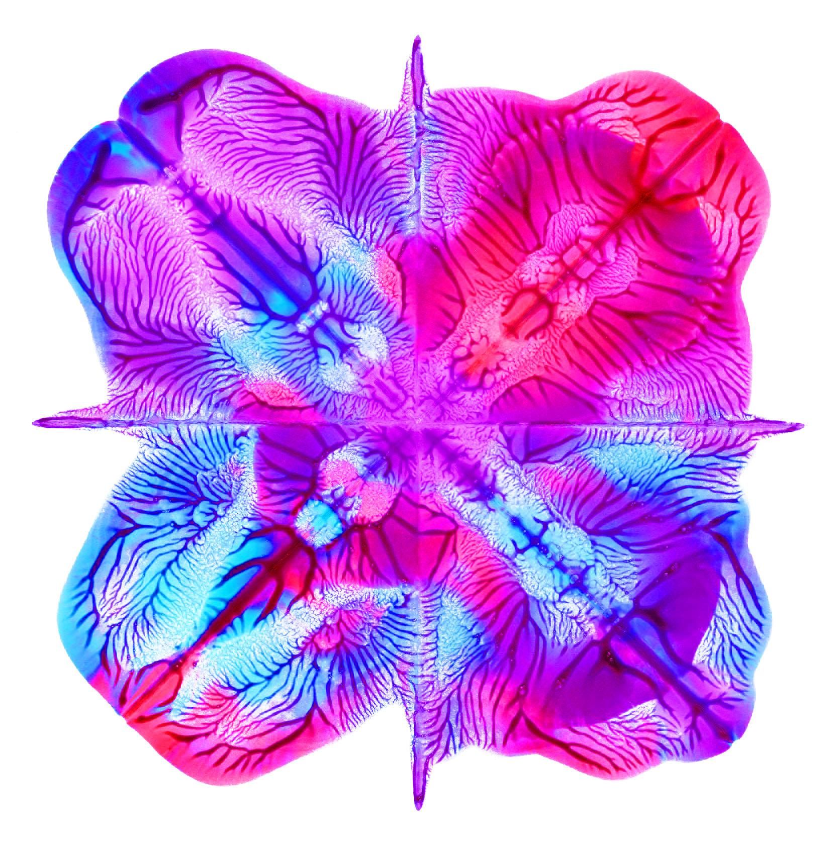 Squish Painting : 9 Steps - Instructables