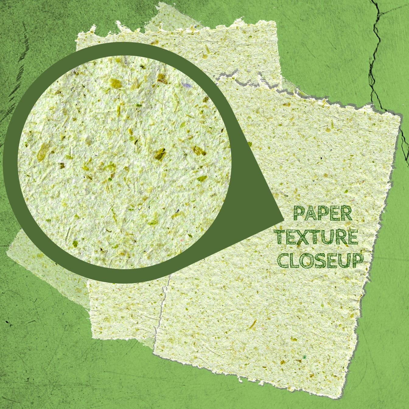 Super-Green Celery Paper! : 5 Steps (with Pictures) - Instructables