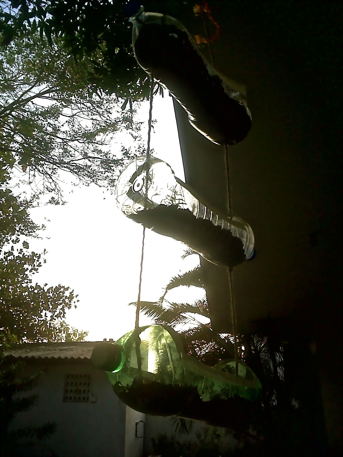 Recycled Hangarden : 8 Steps - Instructables